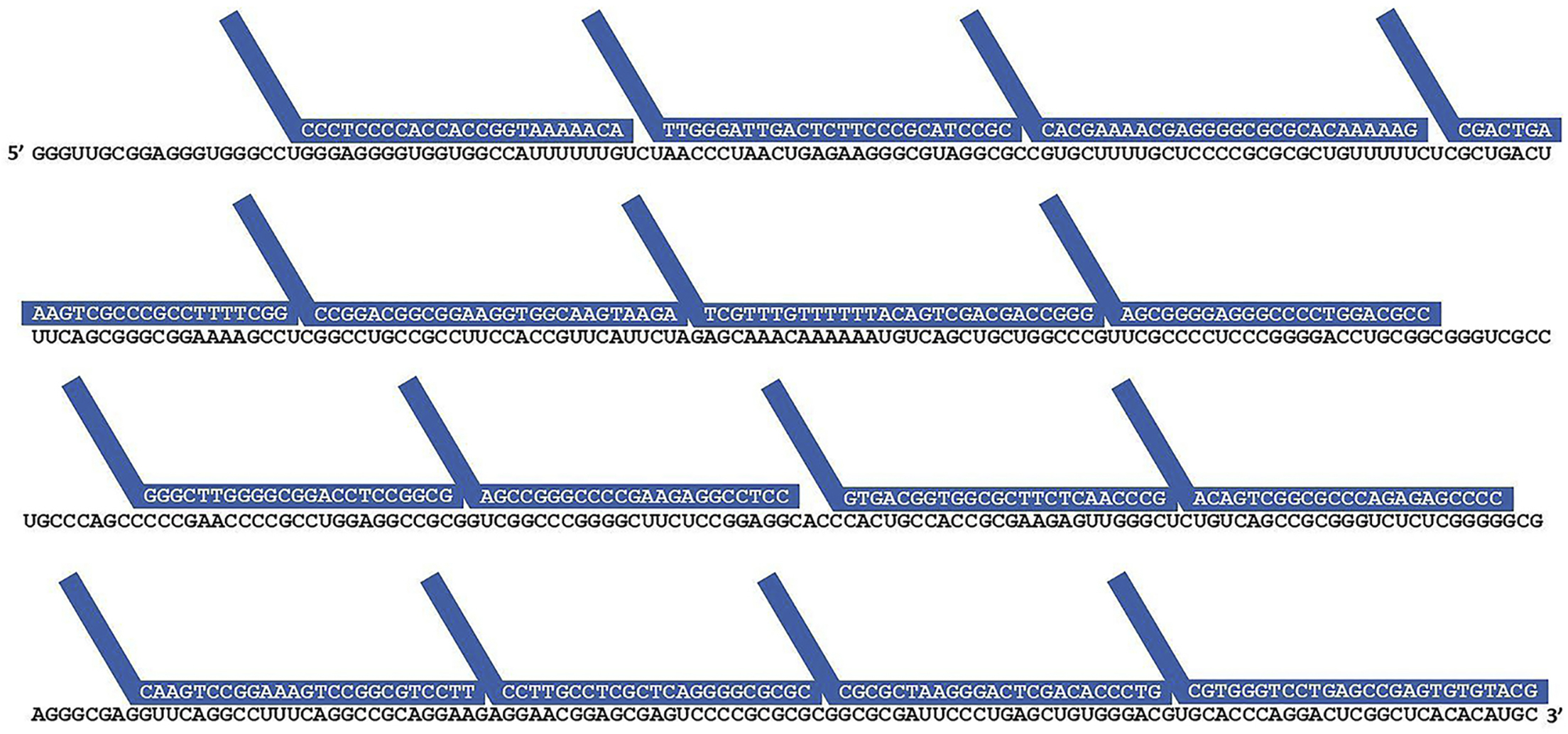 Cell Press: STAR Protocols