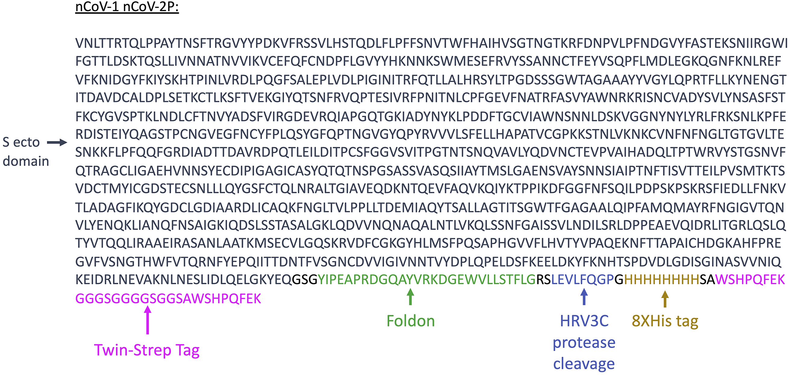 Cell Press: STAR Protocols