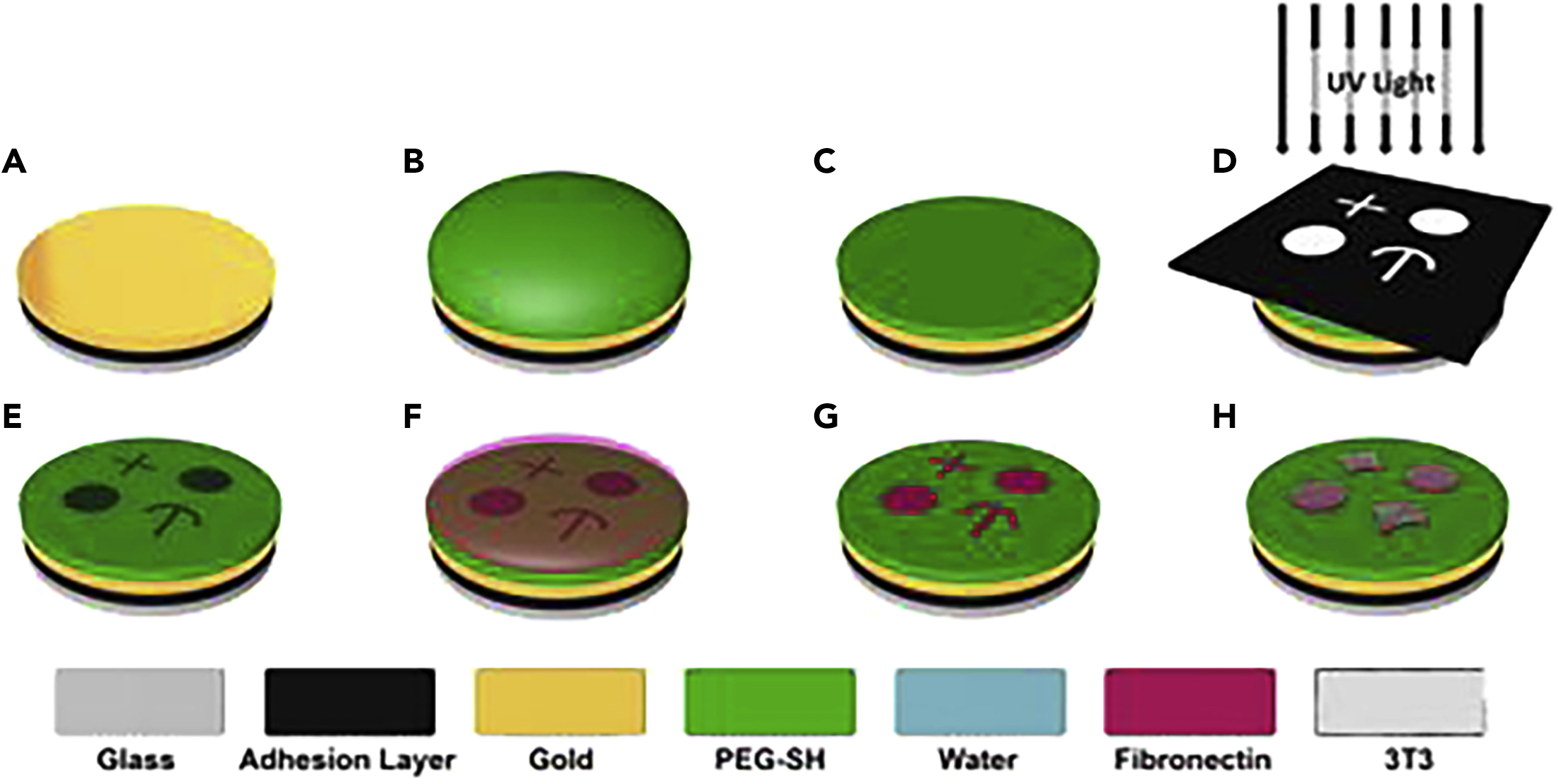 Cell Press: STAR Protocols