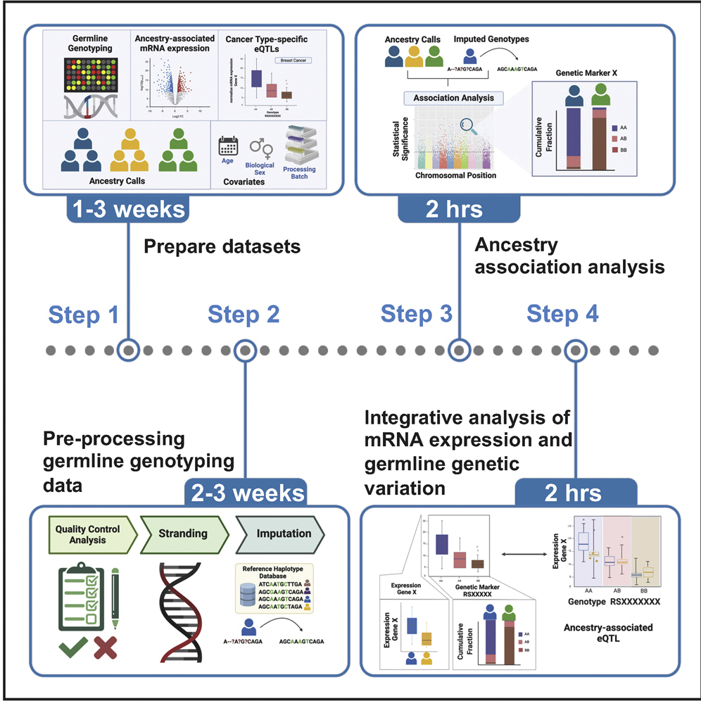Cell Press: STAR Protocols