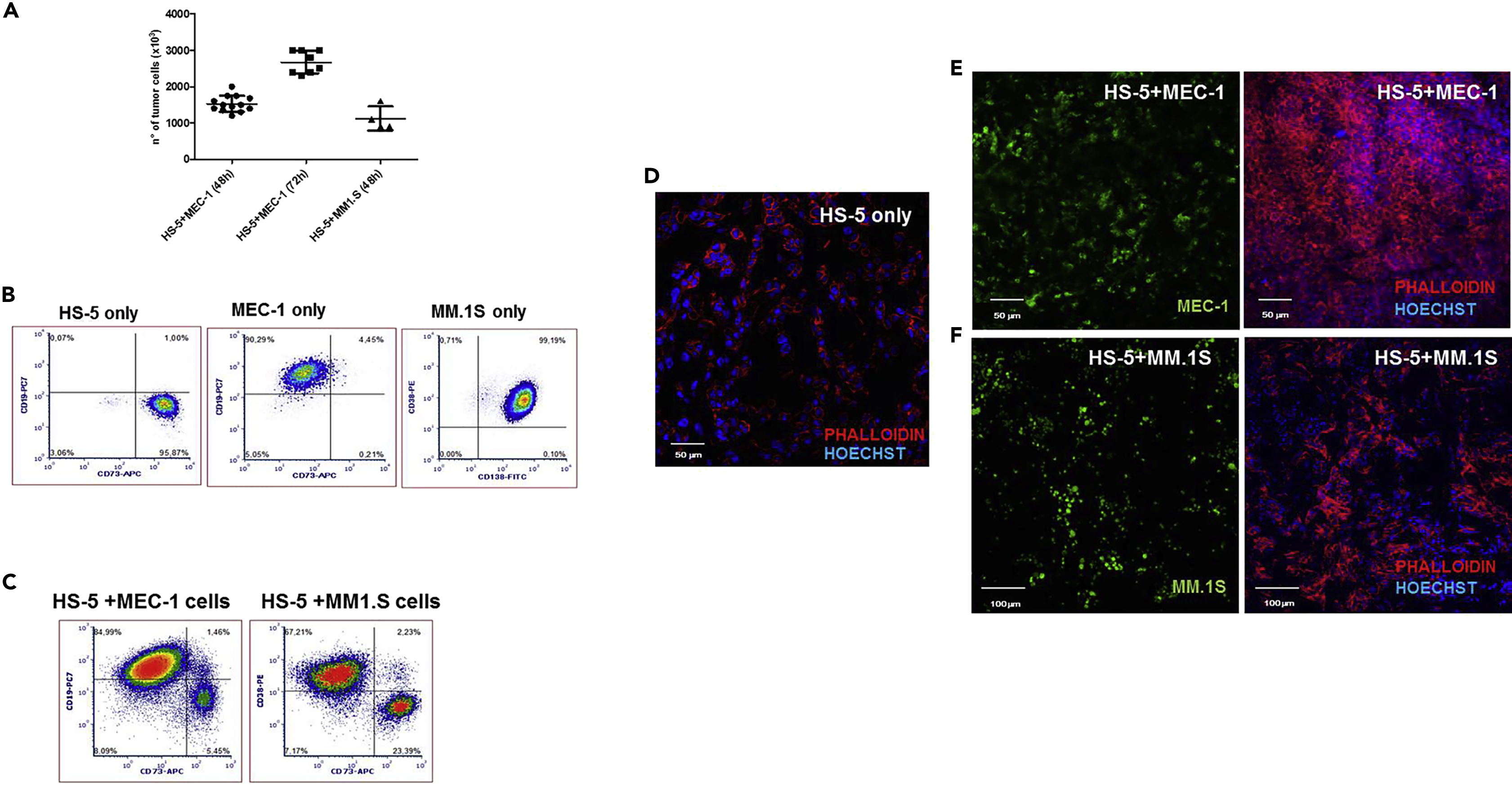 Cell Press: STAR Protocols
