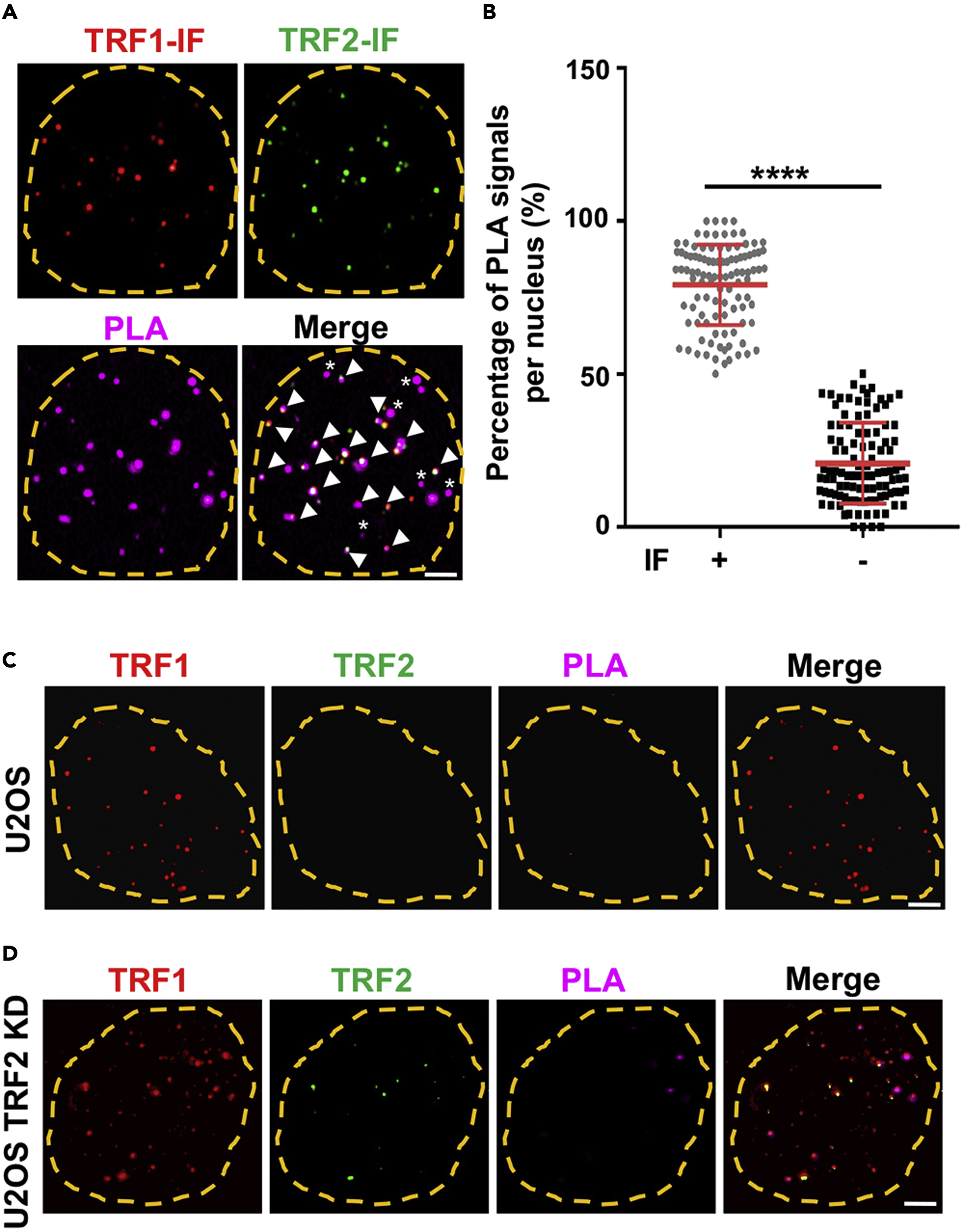 Cell Press: STAR Protocols