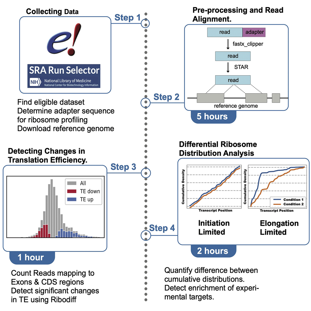 Cell Press: STAR Protocols