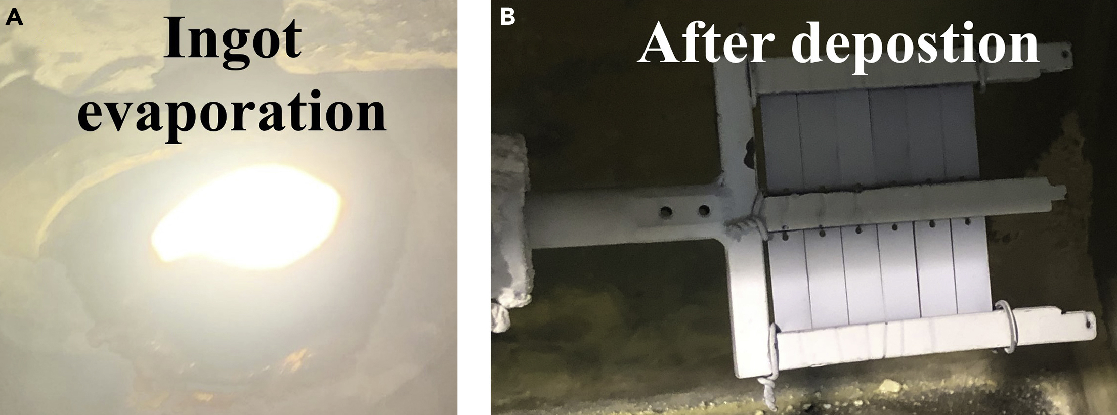 Cell Press: STAR Protocols