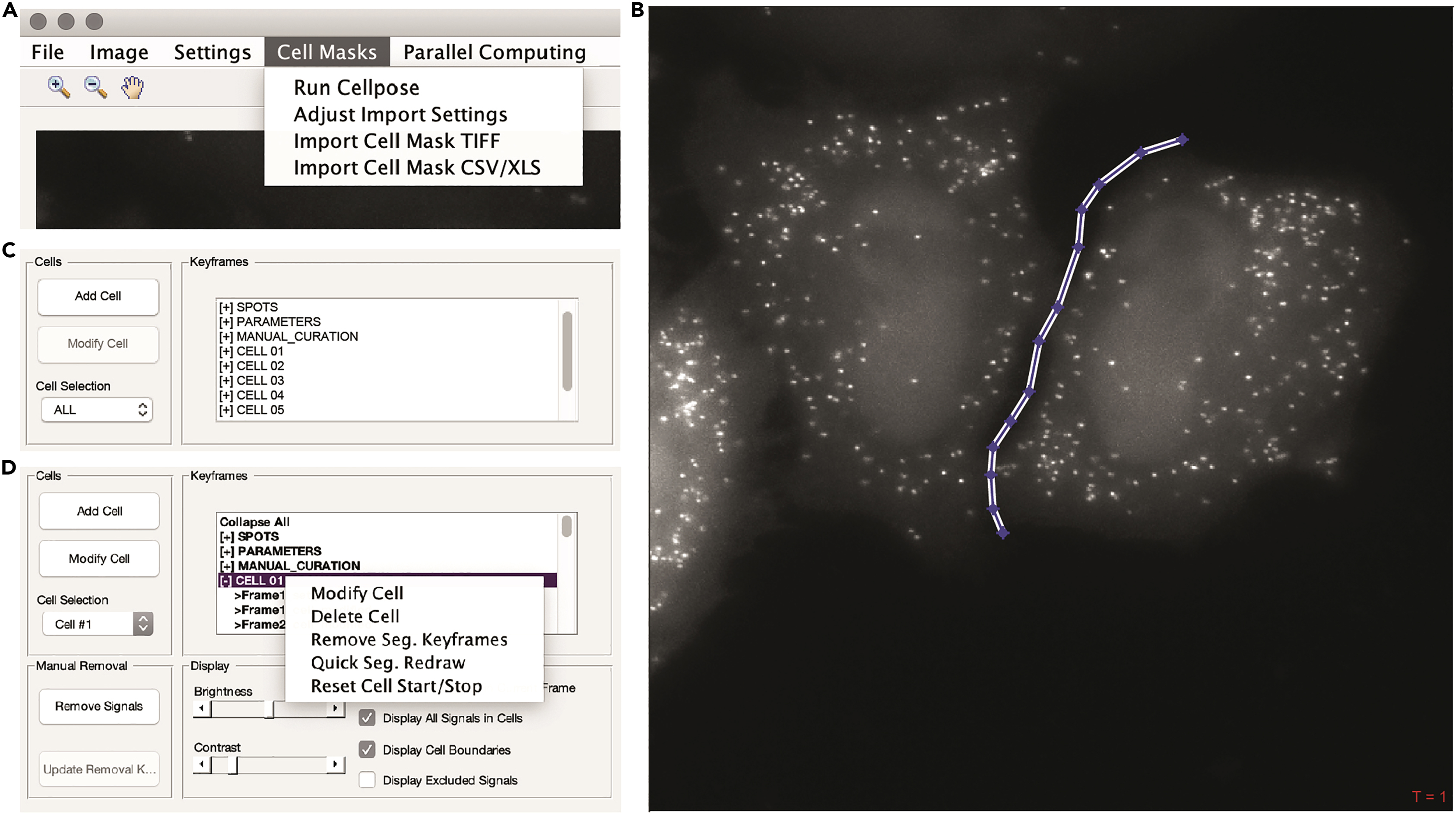 Cell Press: STAR Protocols