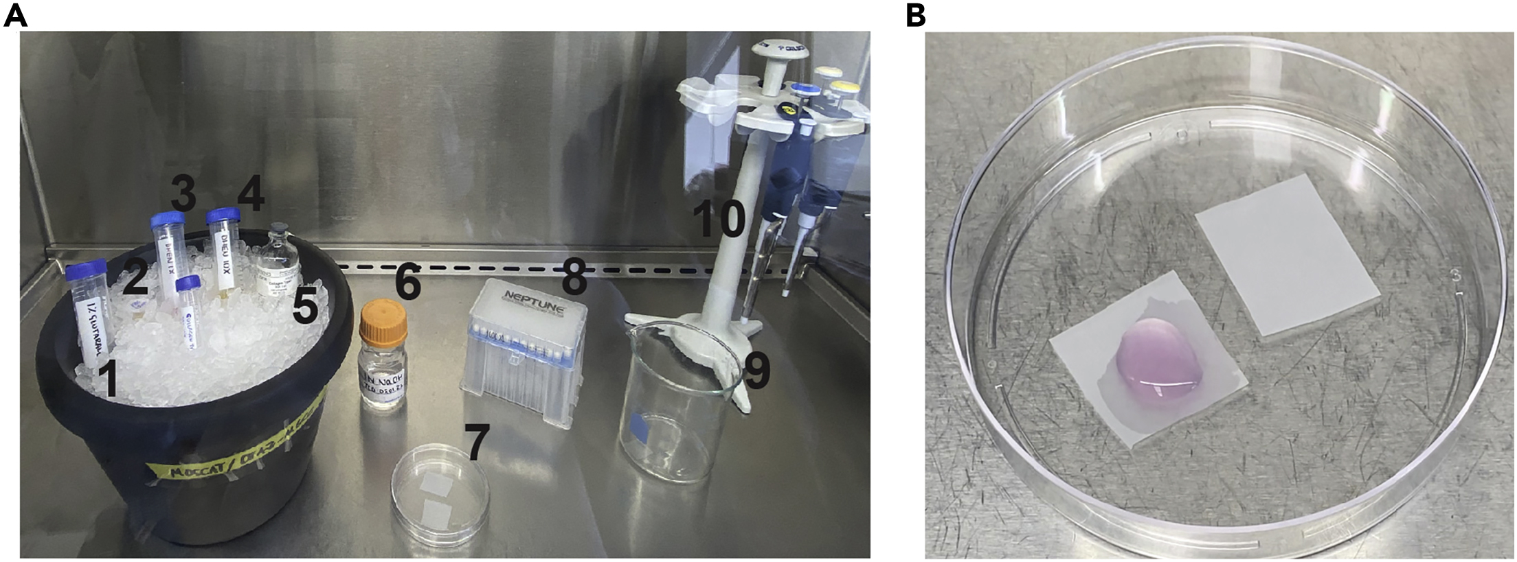 Cell Press: STAR Protocols