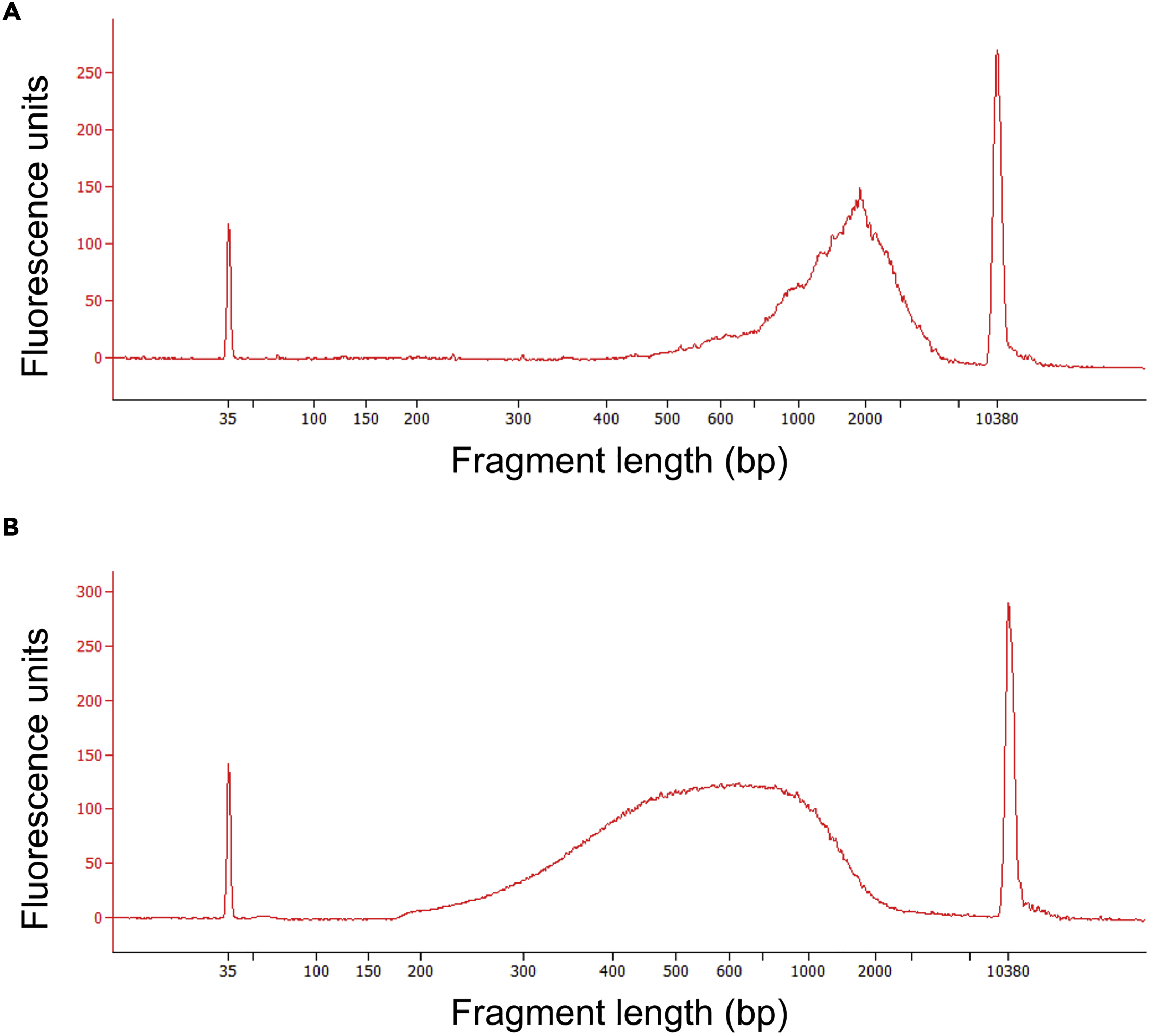 Cell Press: STAR Protocols