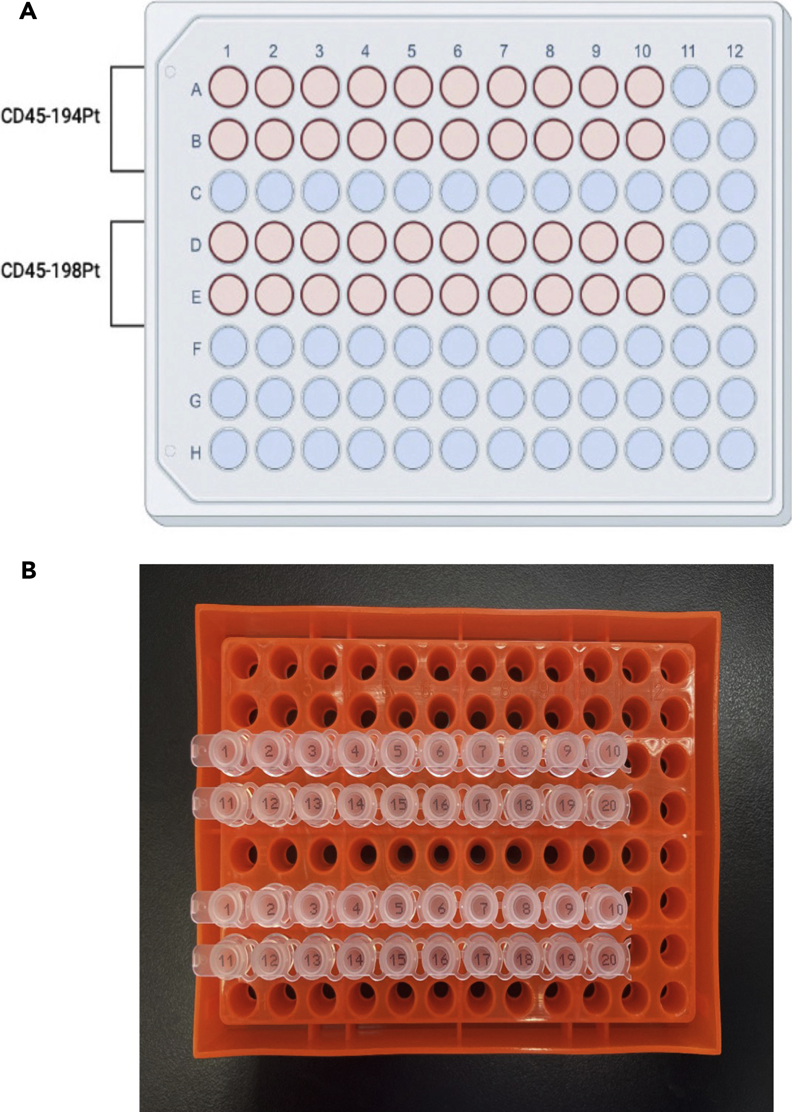 Cell Press: STAR Protocols