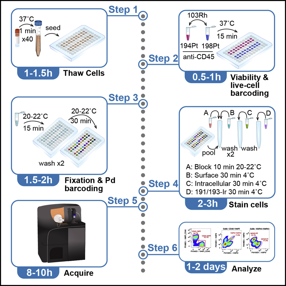 Cell Press: STAR Protocols