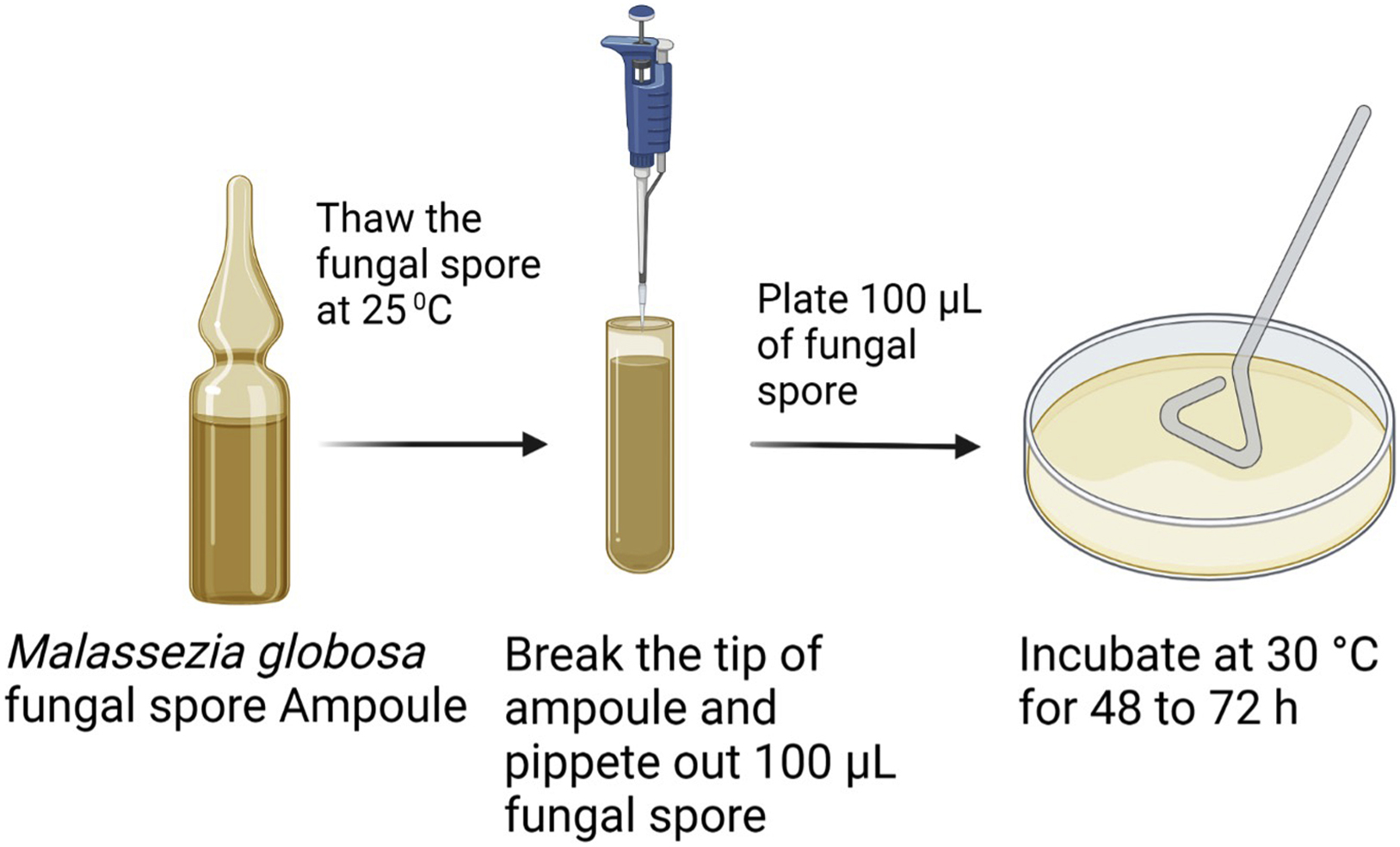 Cell Press: STAR Protocols