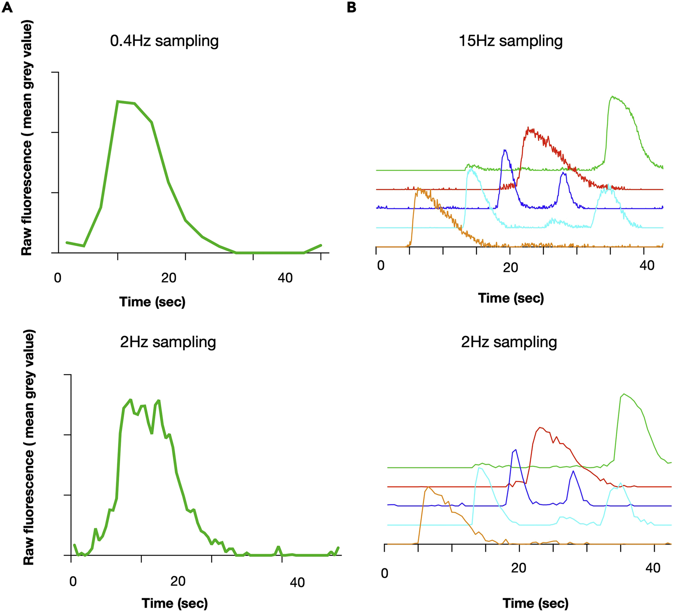 Cell Press: STAR Protocols