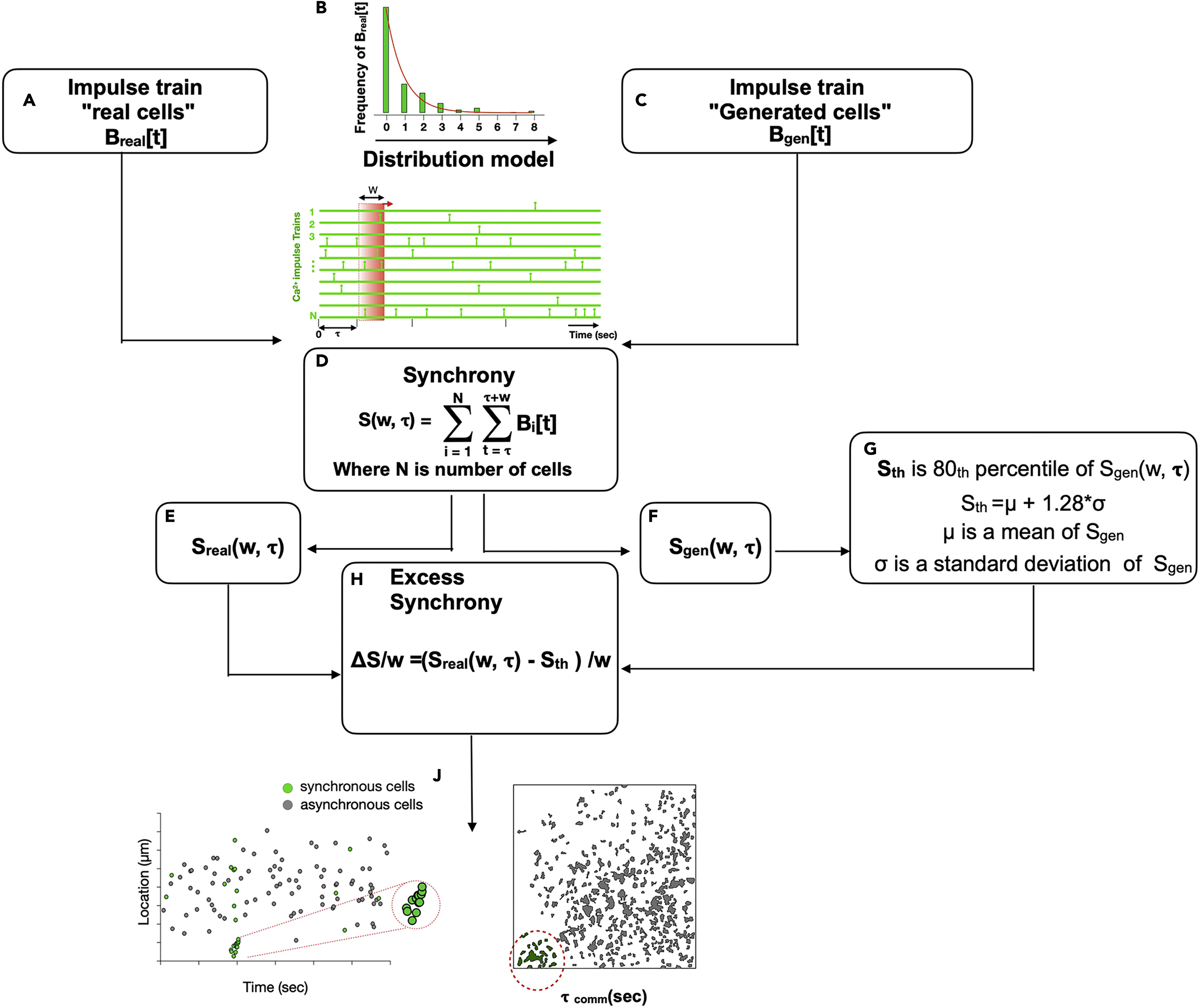 Cell Press: STAR Protocols
