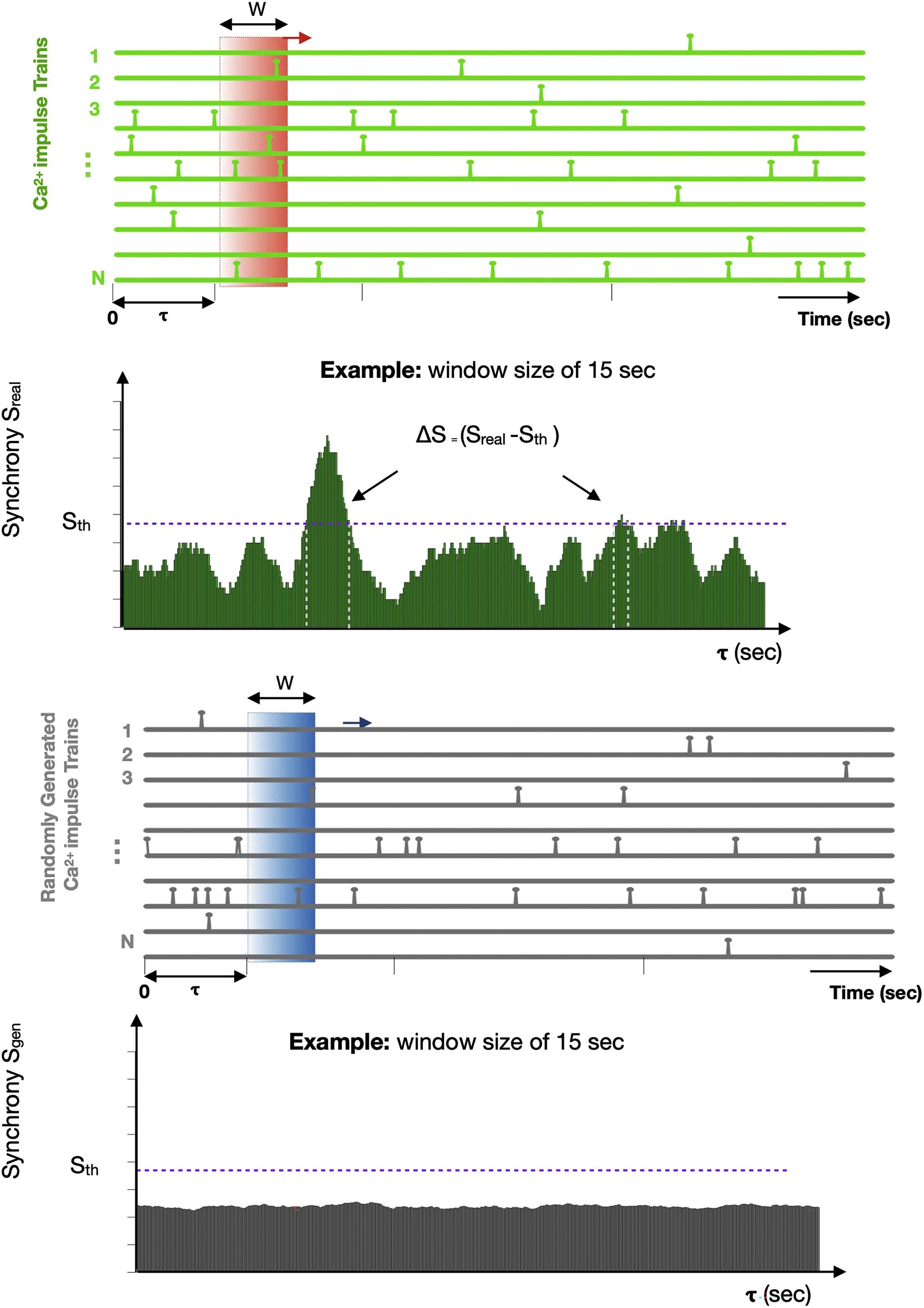 Cell Press Star Protocols
