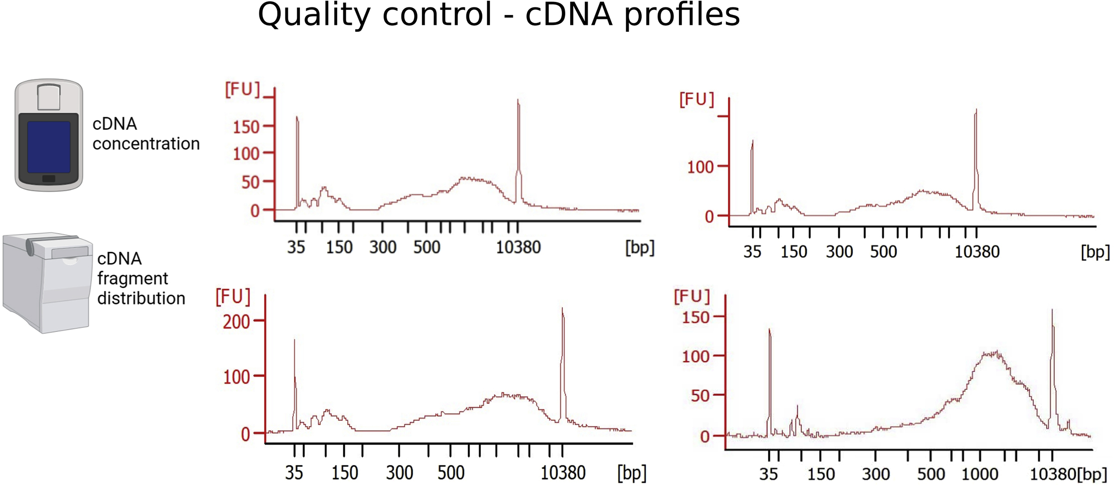 Cell Press: STAR Protocols