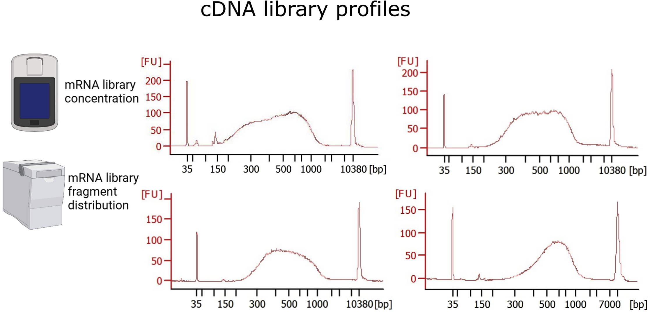 Cell Press: STAR Protocols