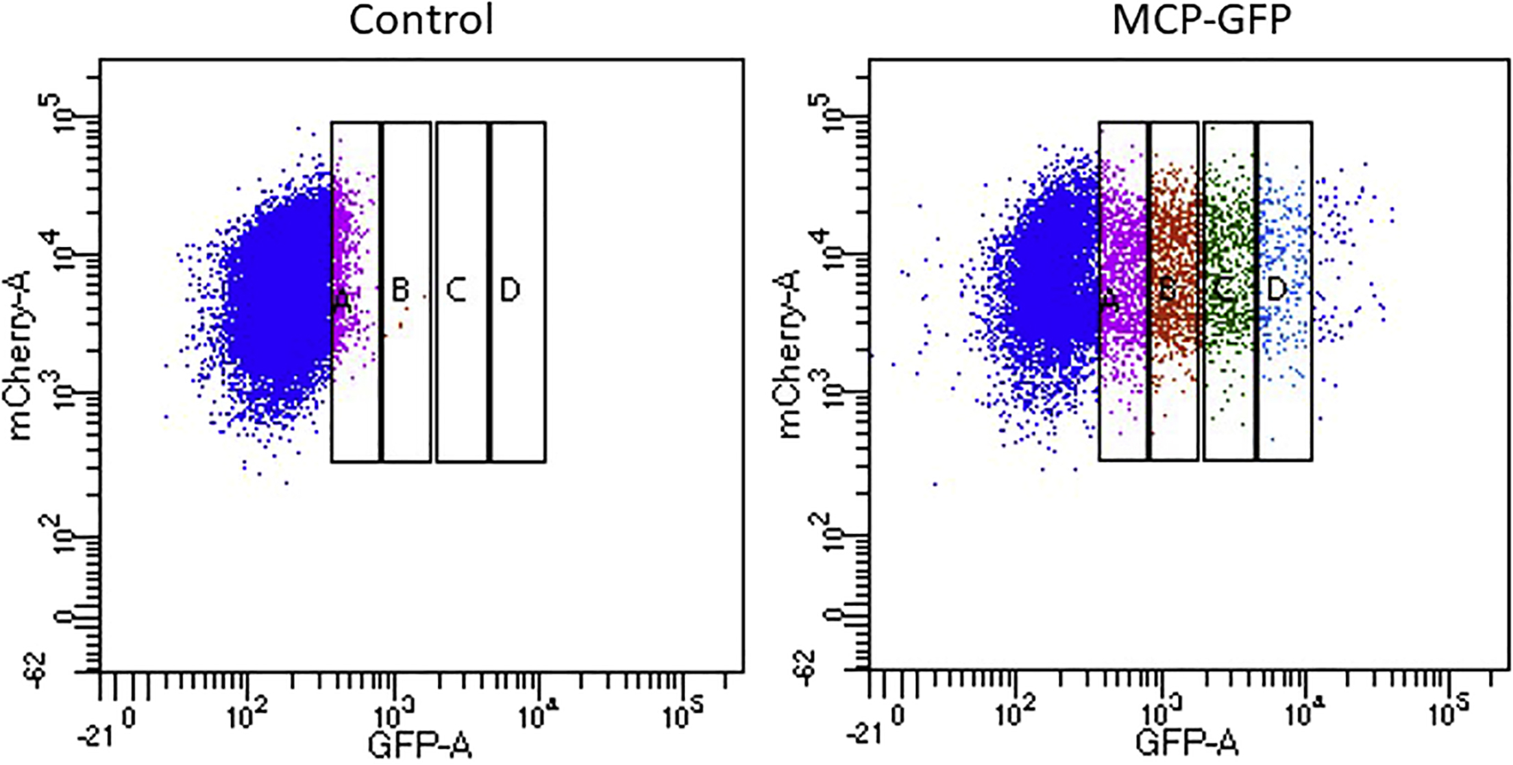 Cell Press: STAR Protocols