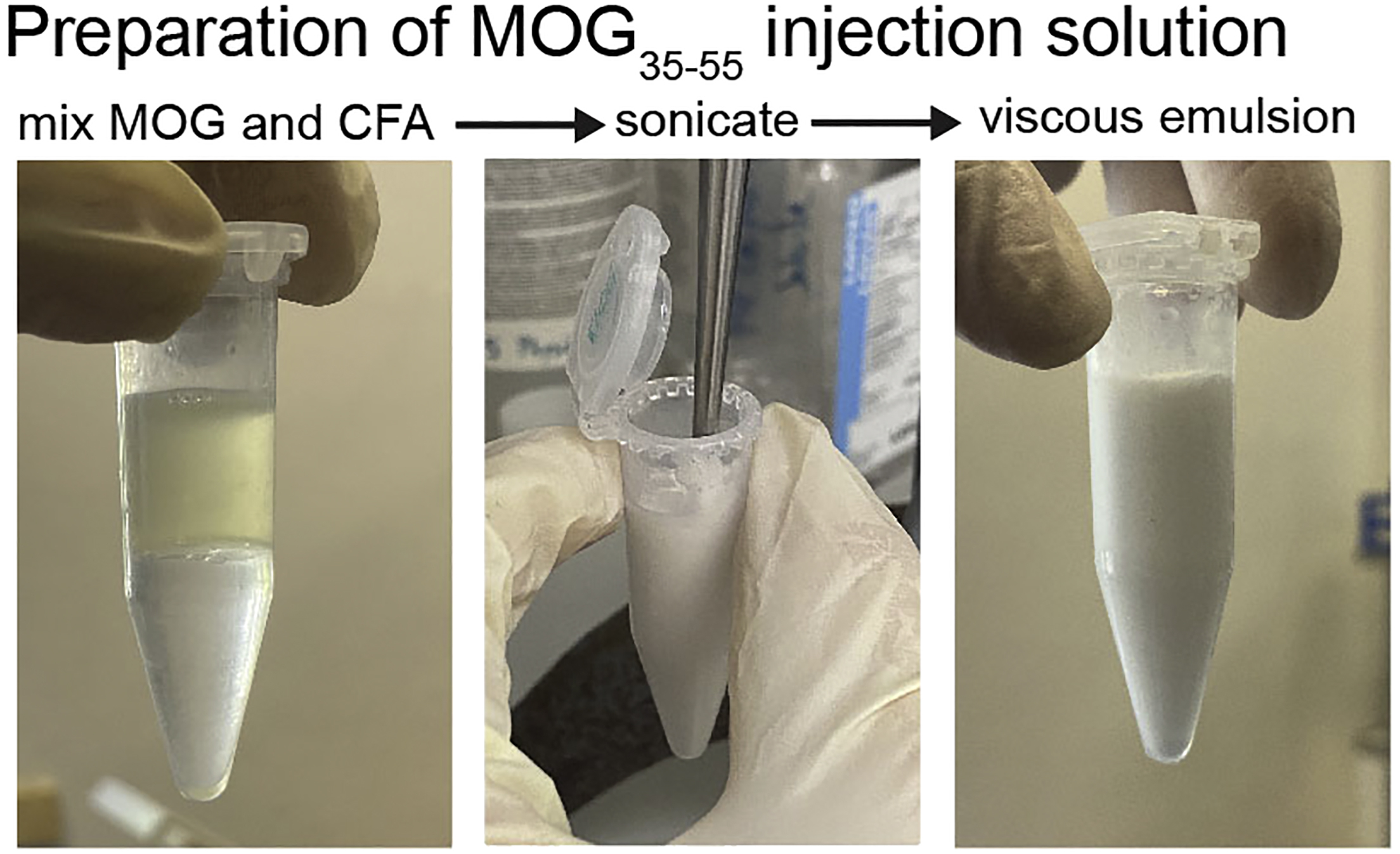 Cell Press: STAR Protocols