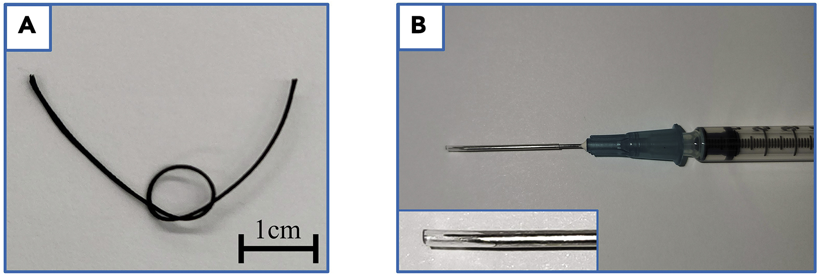 Cell Press: STAR Protocols