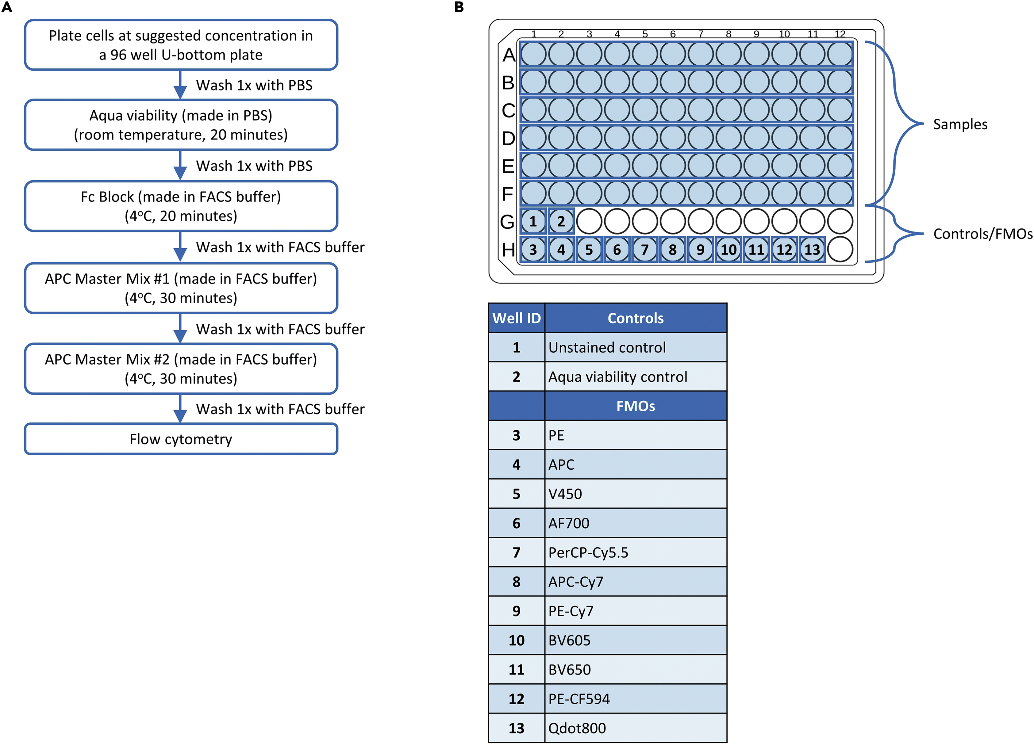 Cell Press: STAR Protocols