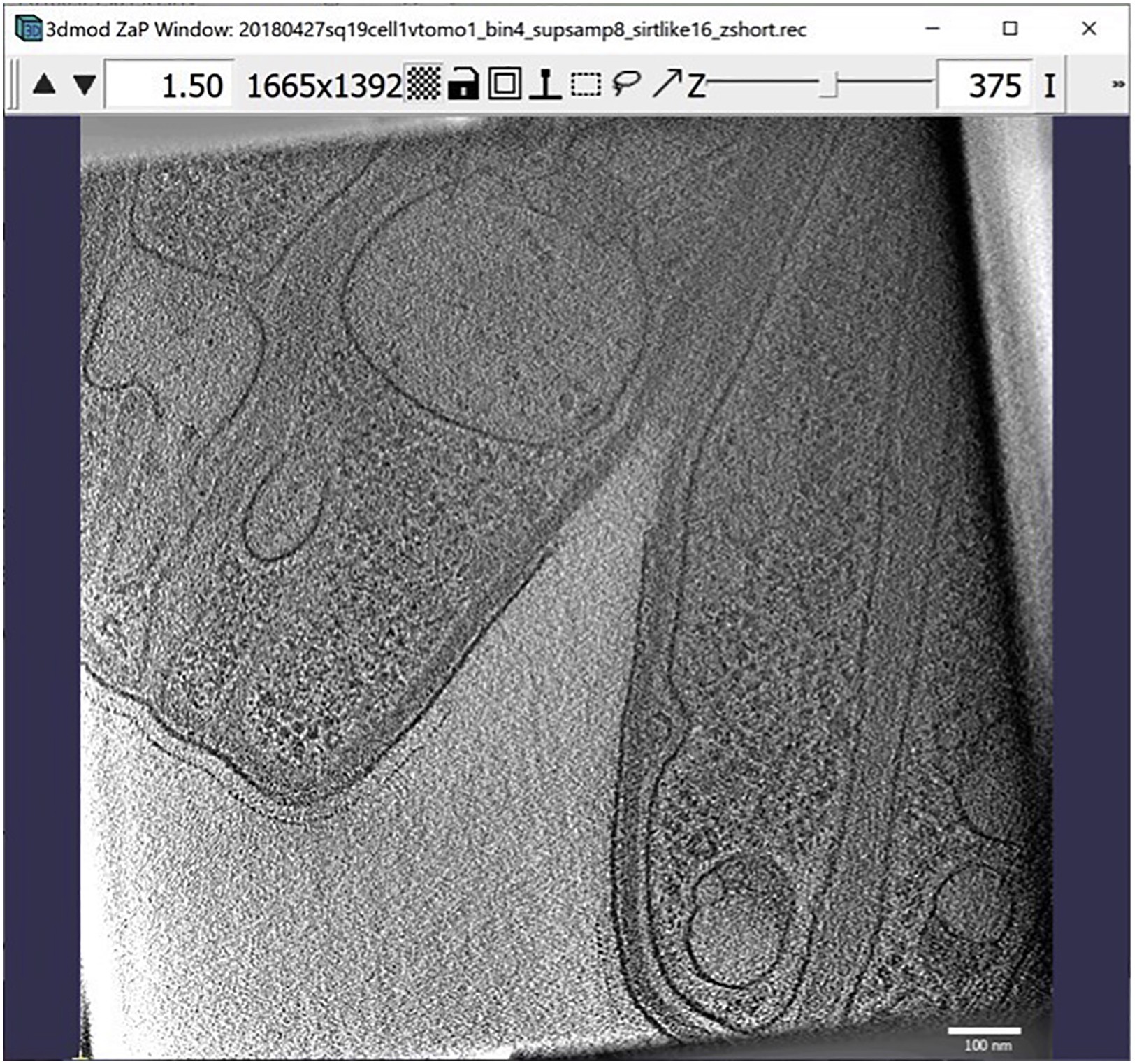 Cell Press: STAR Protocols