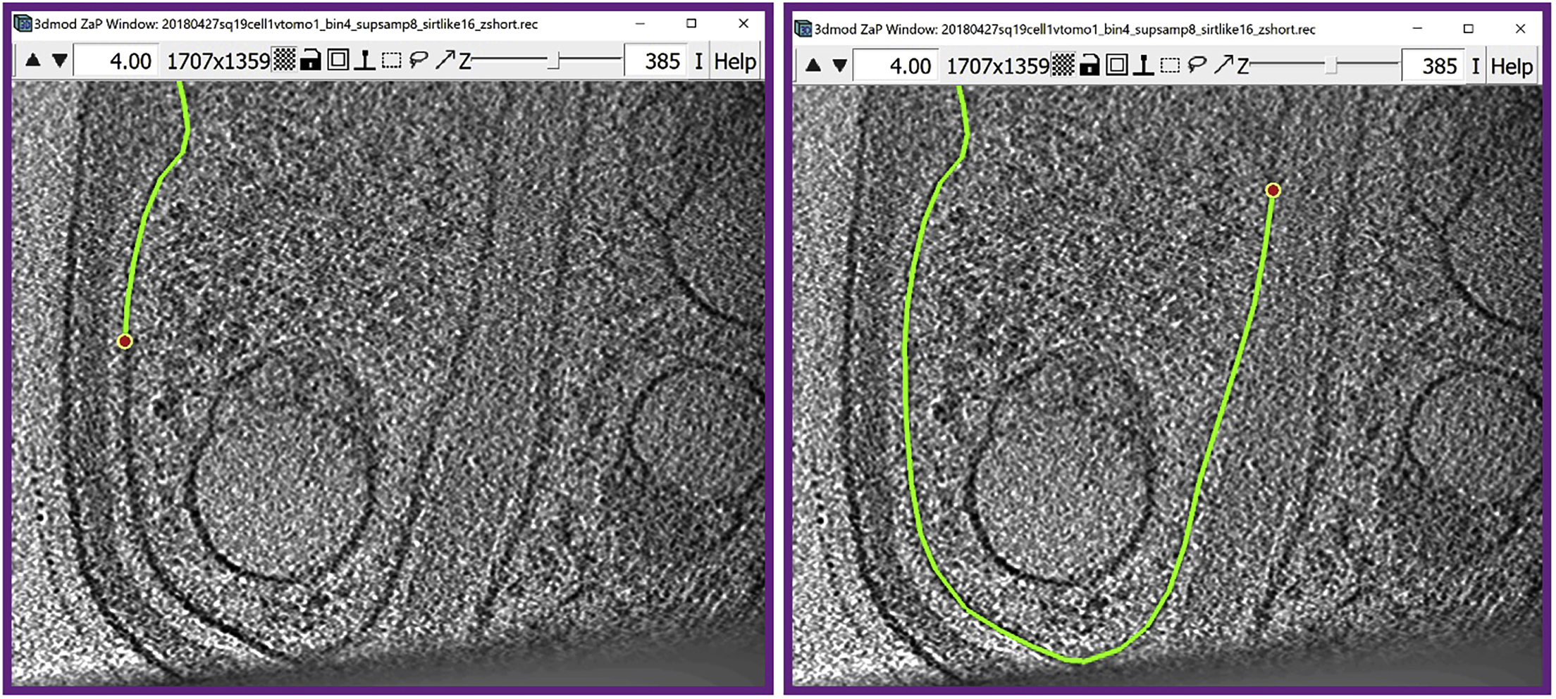 Cell Press: STAR Protocols