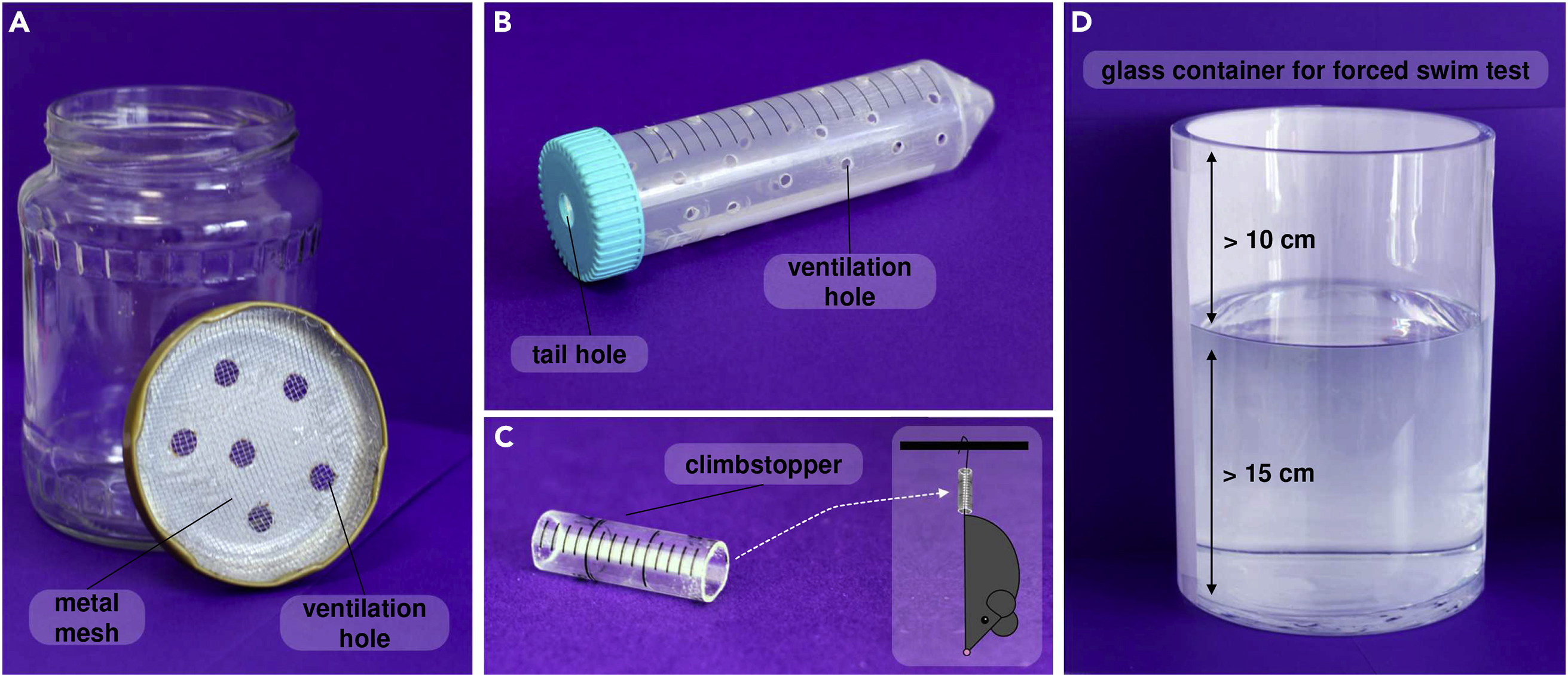 Cell Press: STAR Protocols