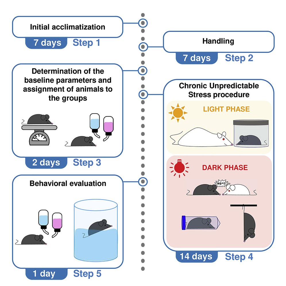 Cell Press: STAR Protocols