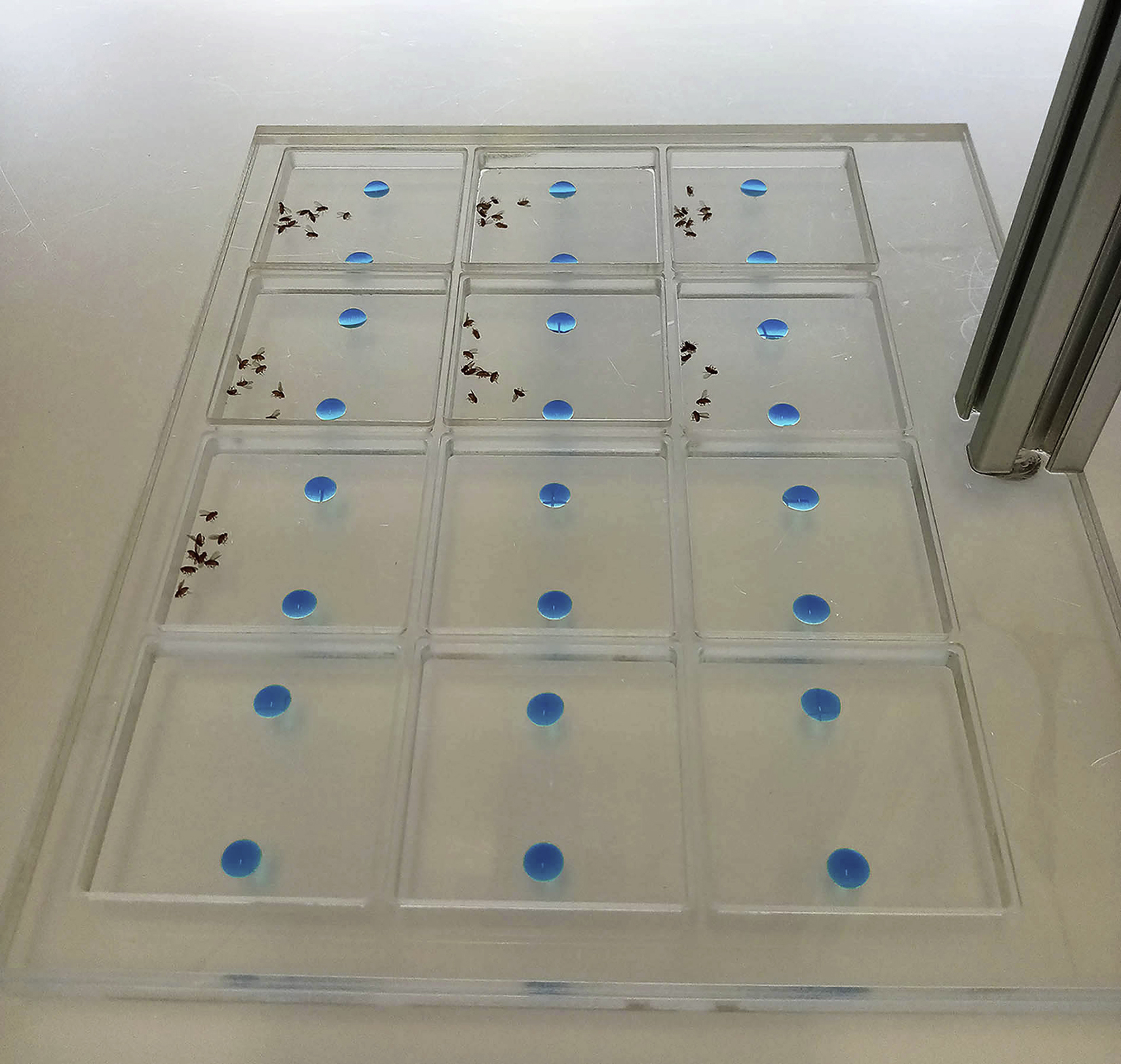 Cell Press: STAR Protocols