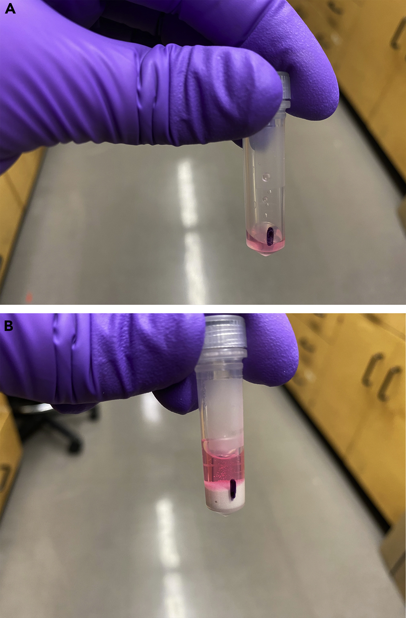 Cell Press: STAR Protocols