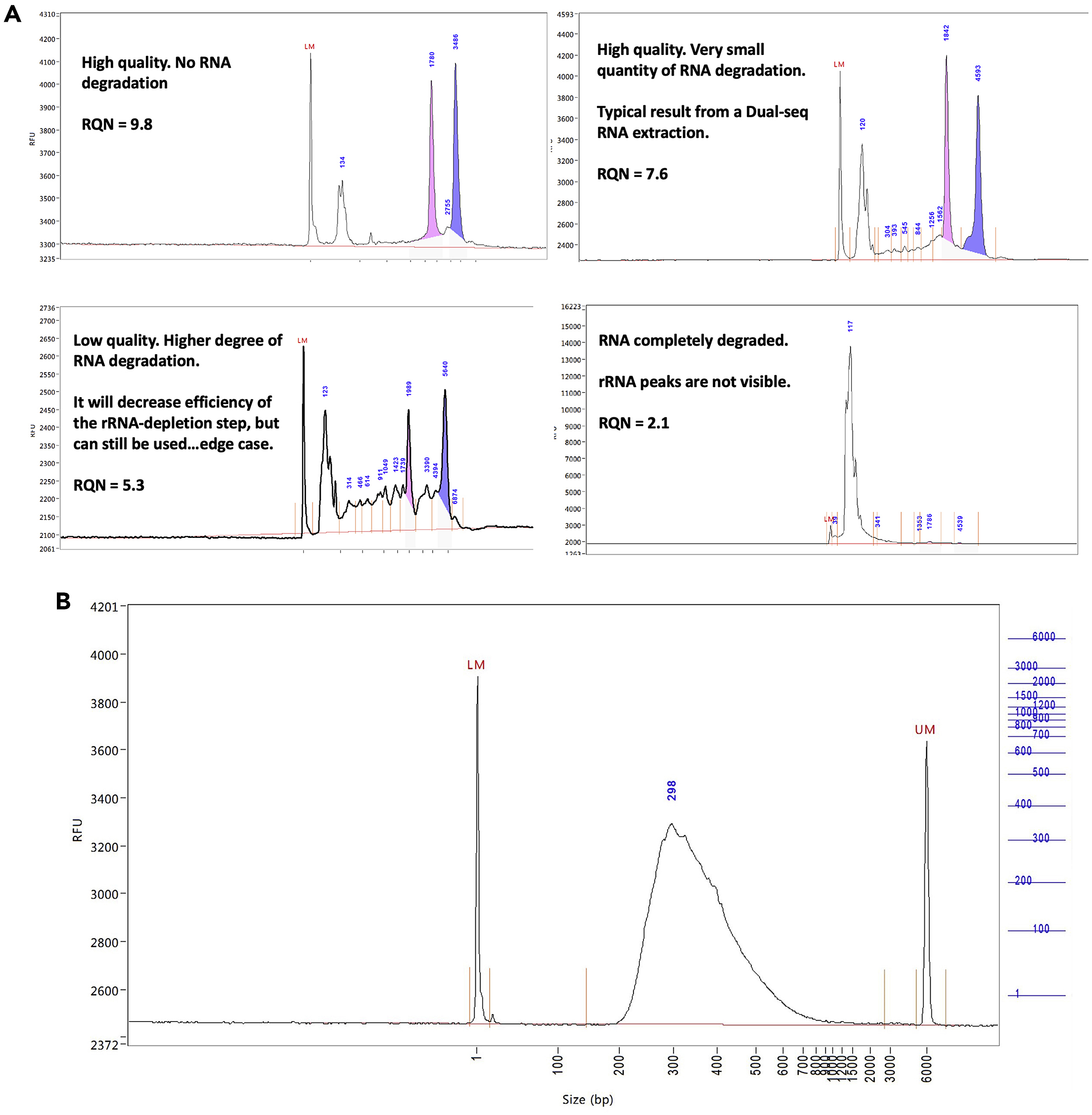 Cell Press: STAR Protocols