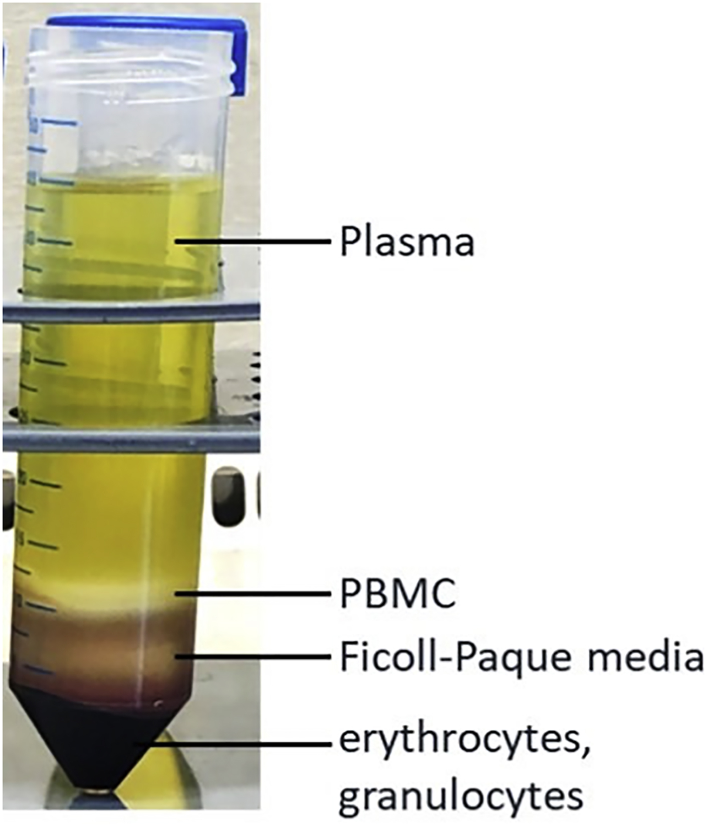 Cell Press: STAR Protocols