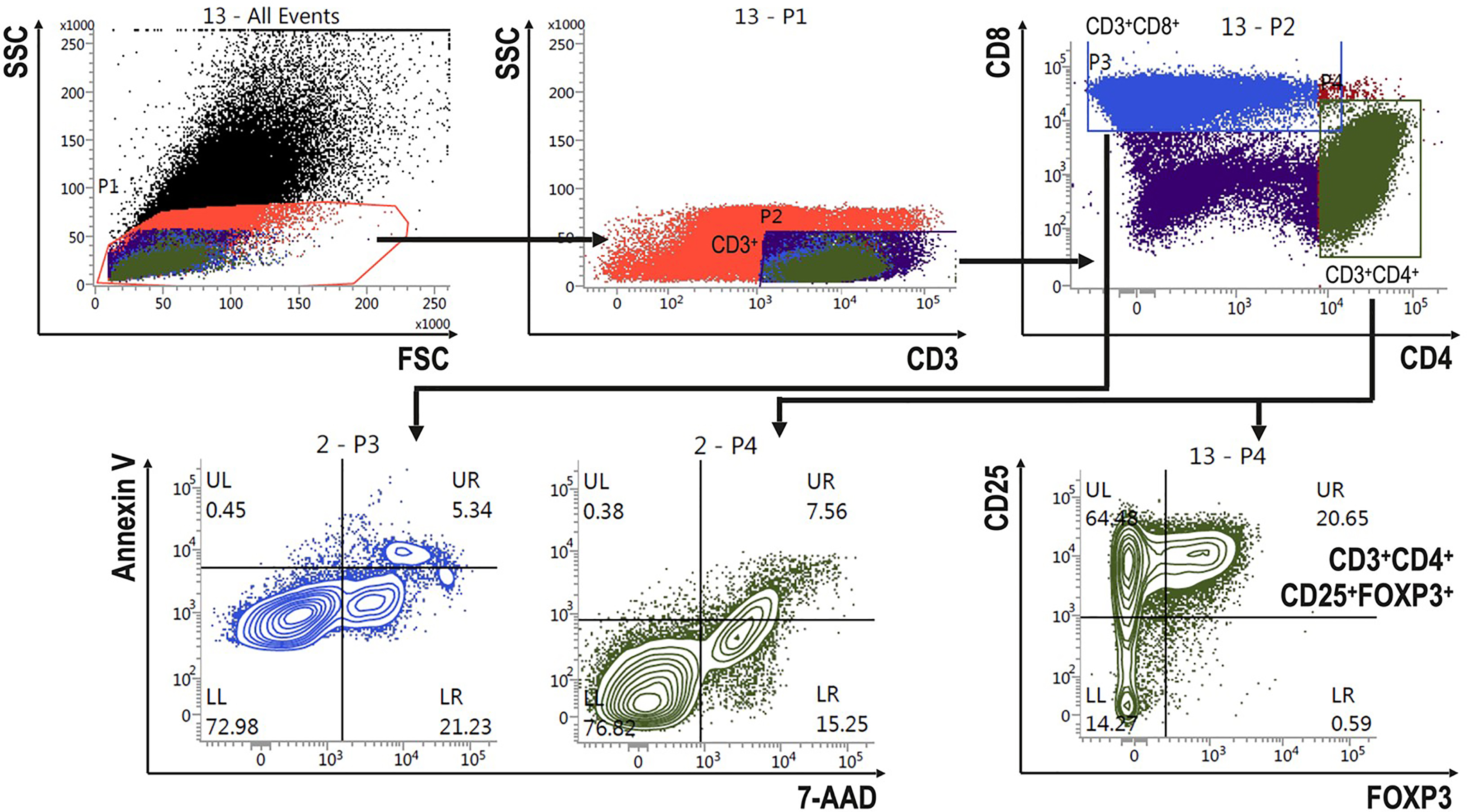 Cell Press: STAR Protocols