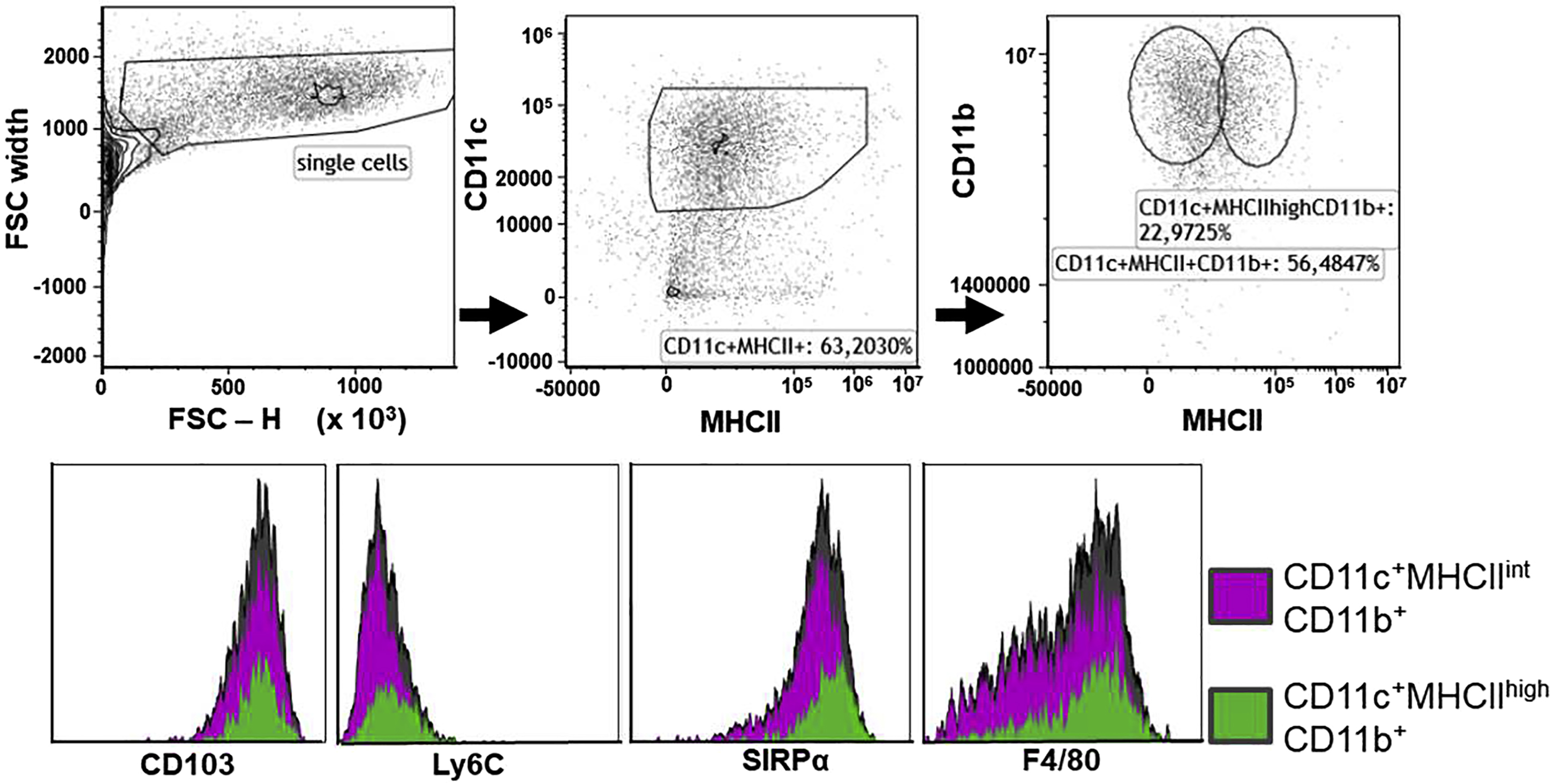 Cell Press: STAR Protocols