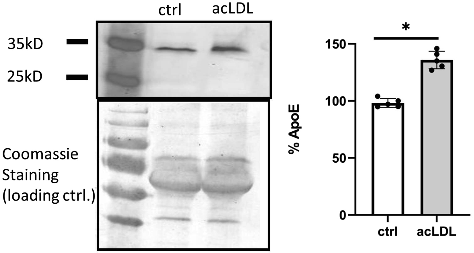Cell Press: STAR Protocols