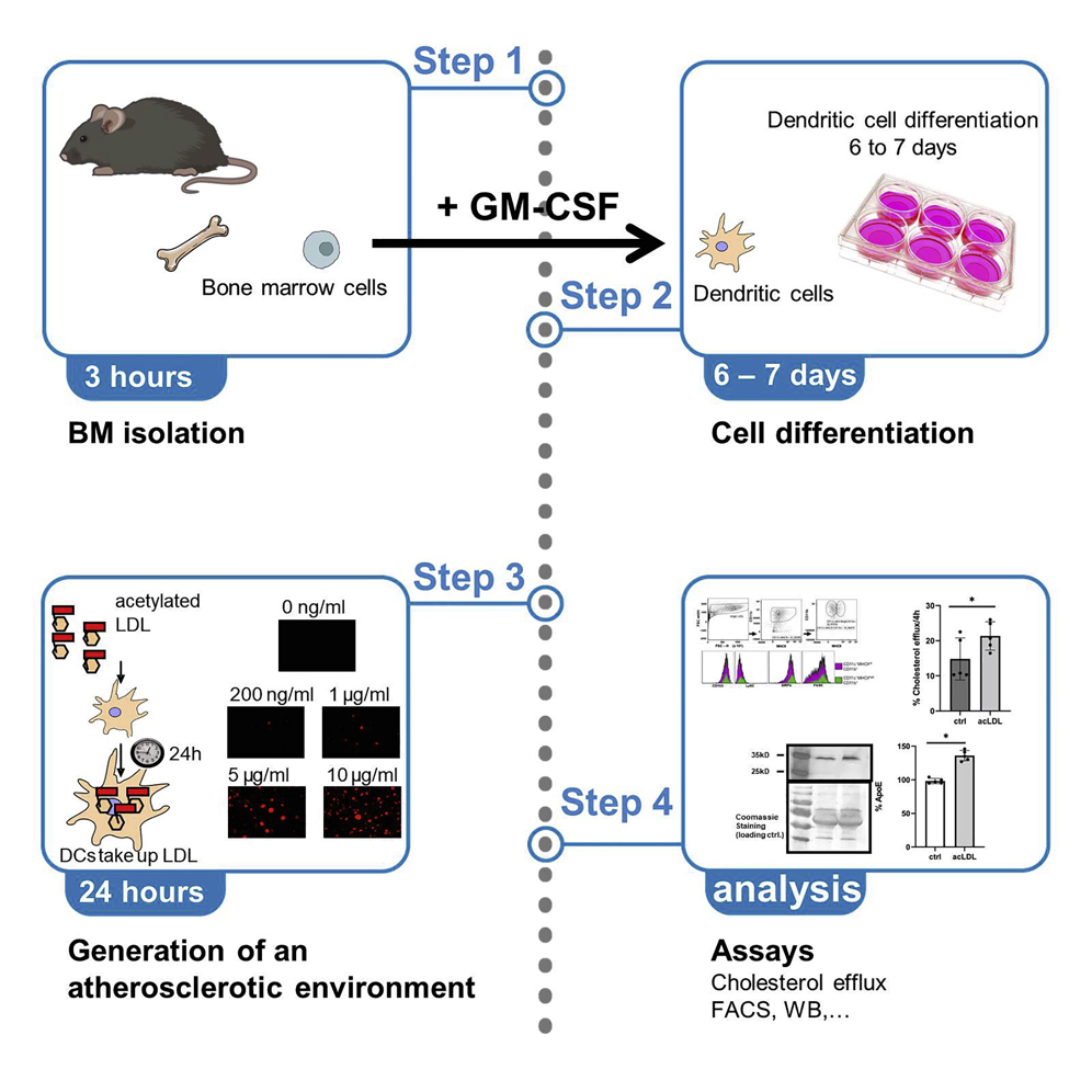 Cell Press: STAR Protocols