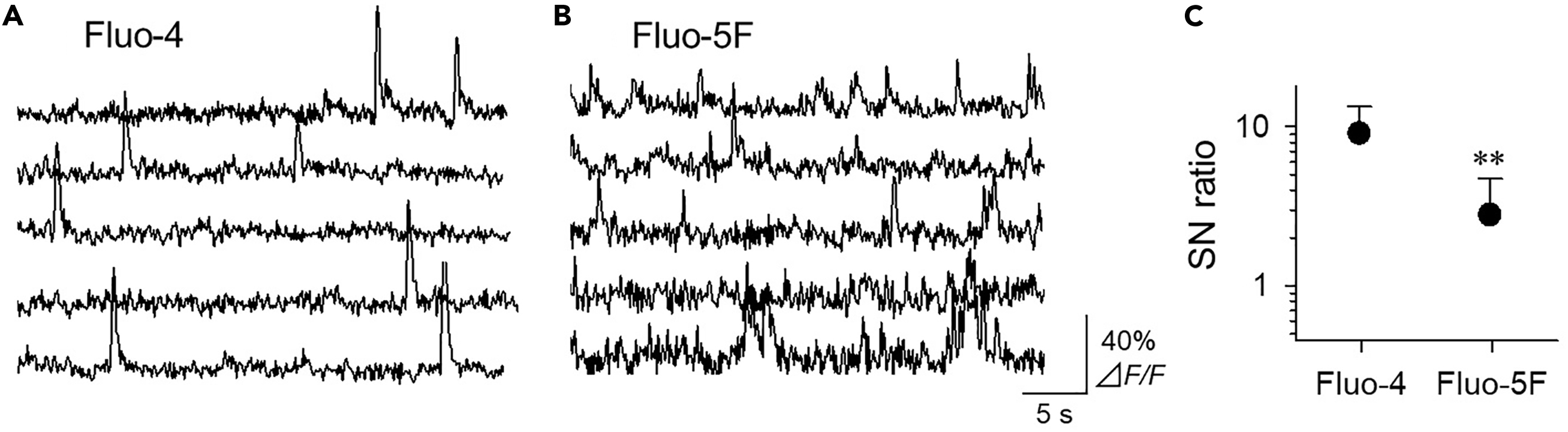 Cell Press: STAR Protocols