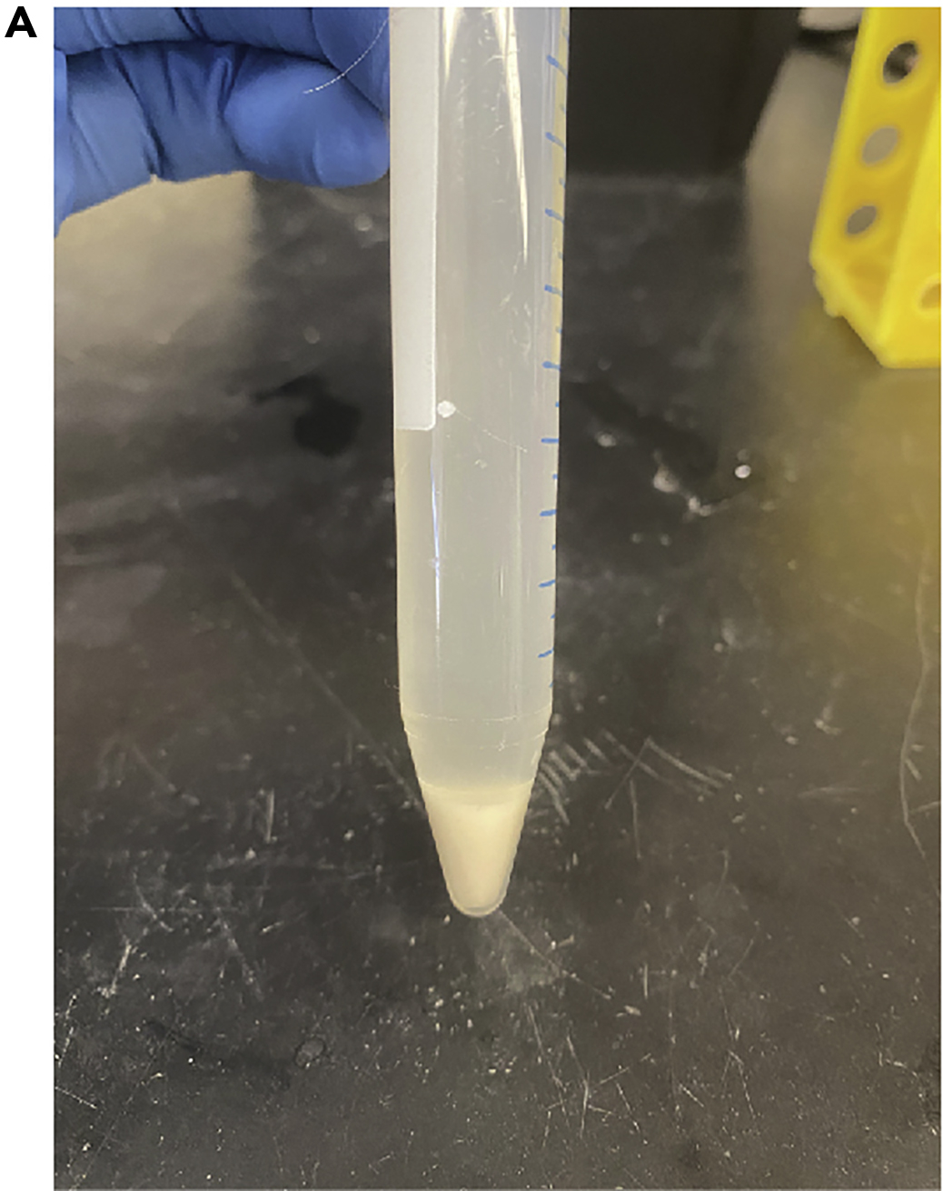Cell Press: STAR Protocols