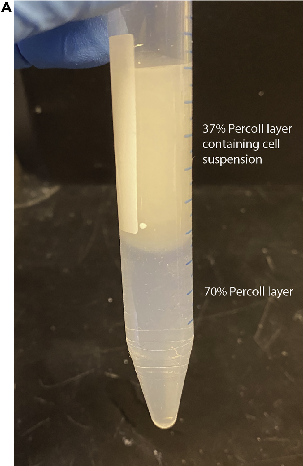Cell Press: STAR Protocols