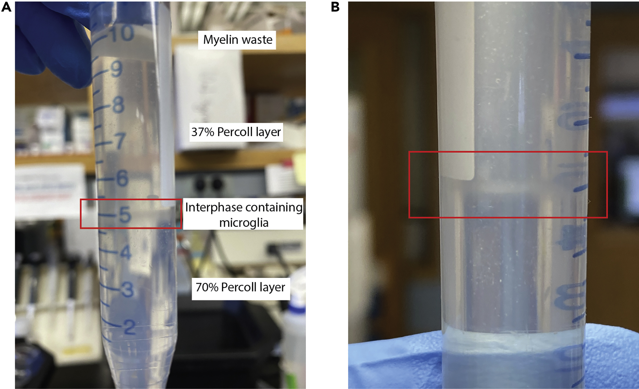 Cell Press: STAR Protocols
