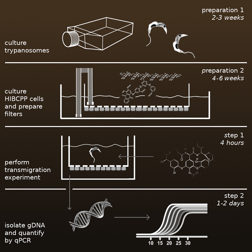 Cell Press: STAR Protocols