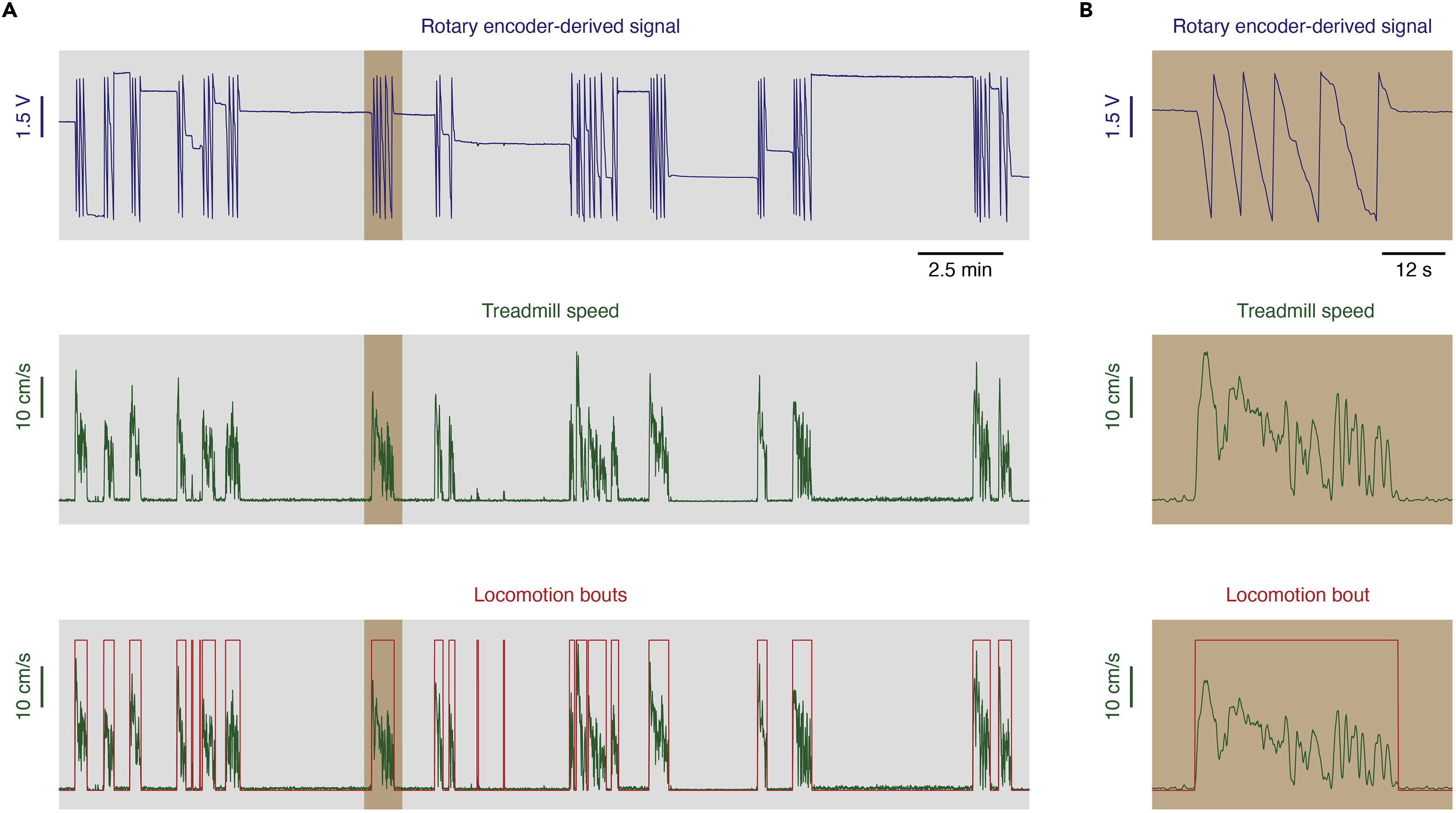 Cell Press: STAR Protocols