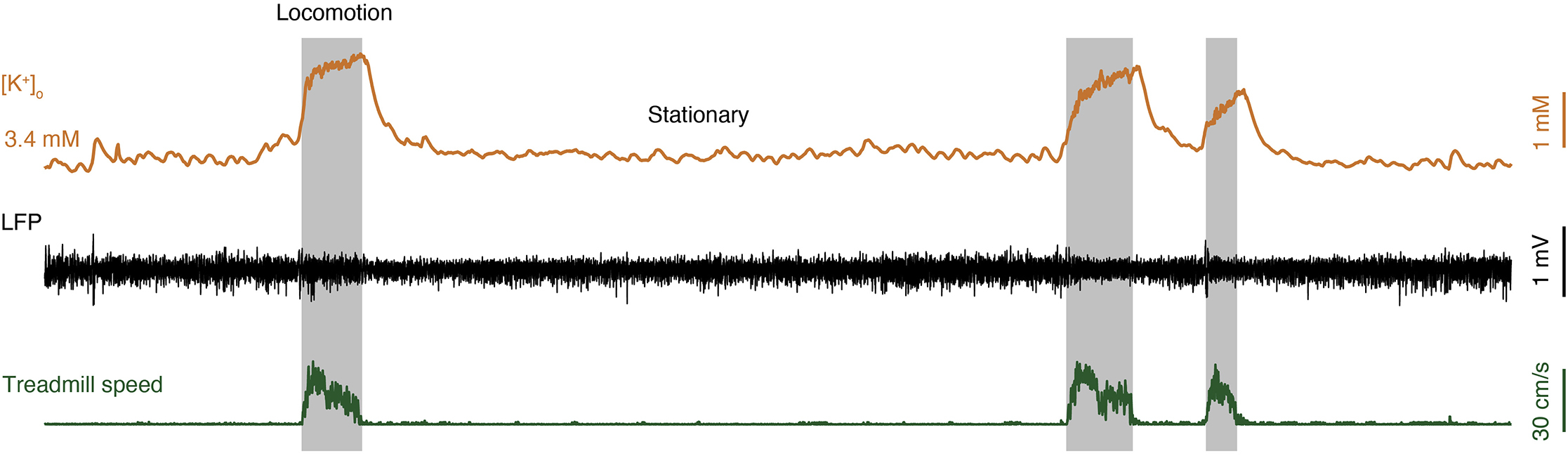 Cell Press: STAR Protocols