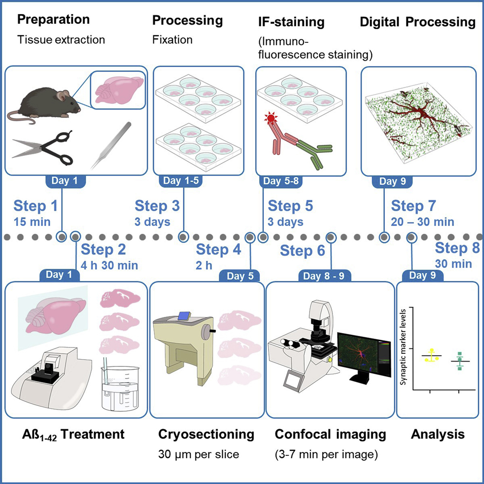 Cell Press: STAR Protocols