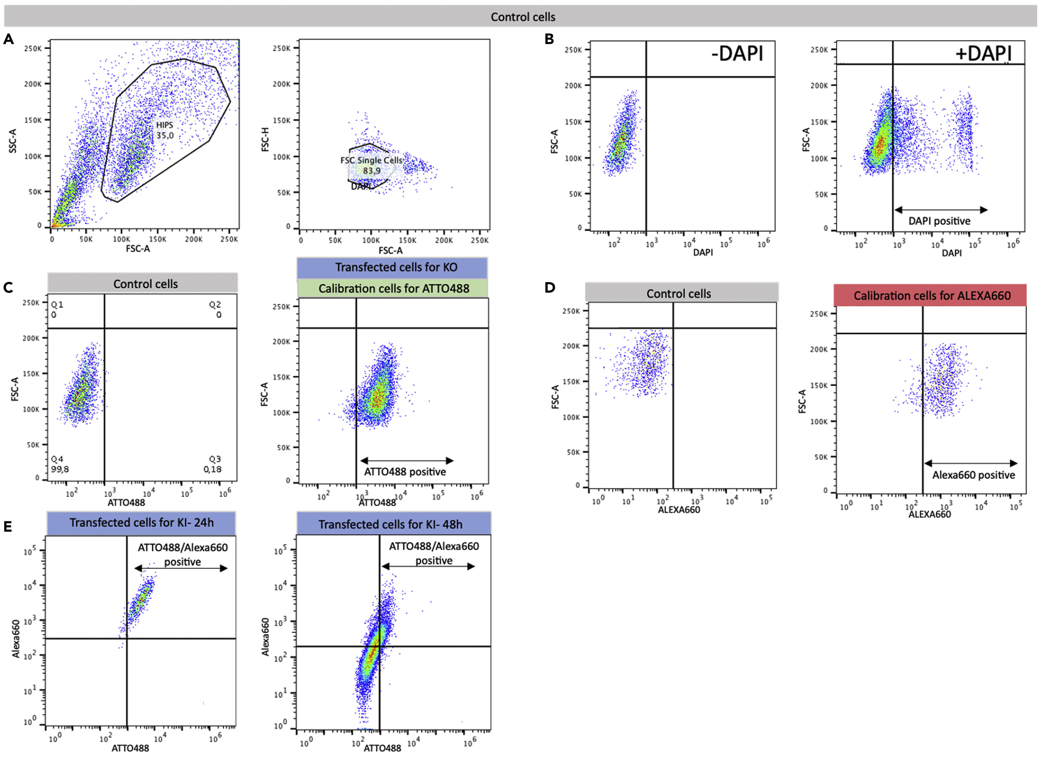 Cell Press: STAR Protocols