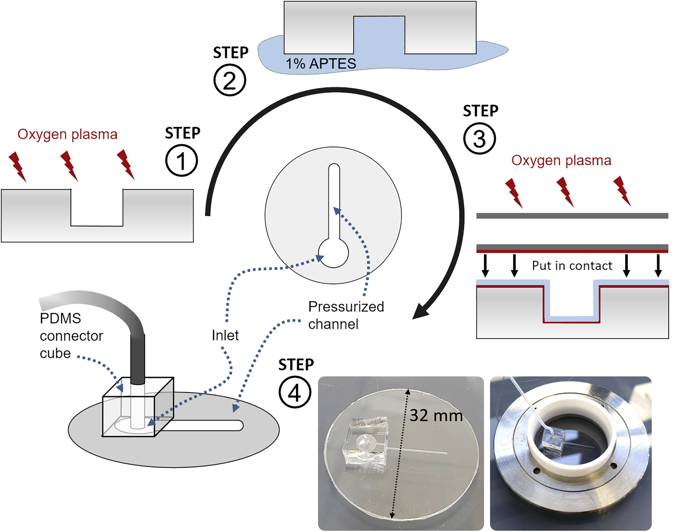Cell Press: STAR Protocols