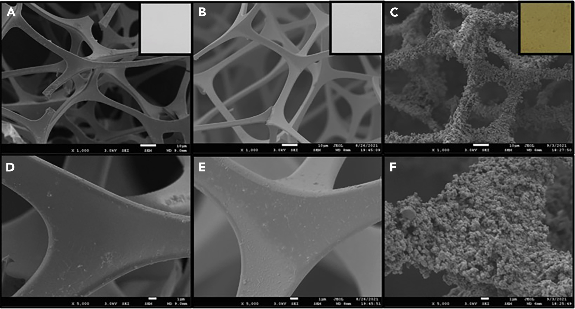 Cell Press: STAR Protocols