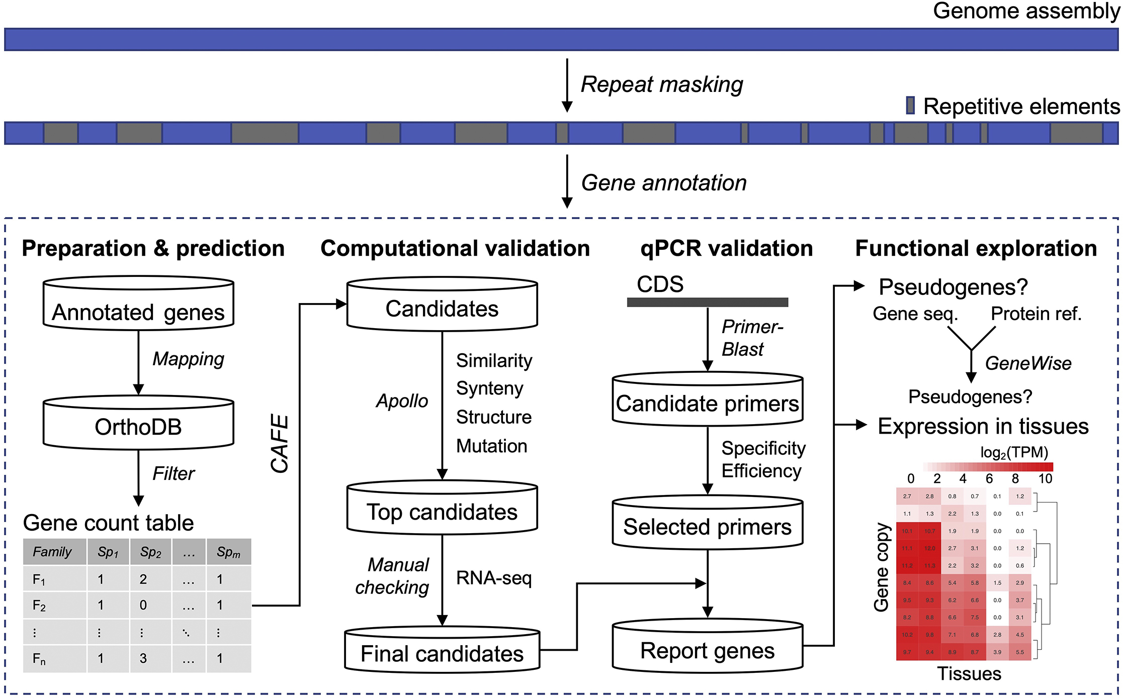Cell Press: STAR Protocols
