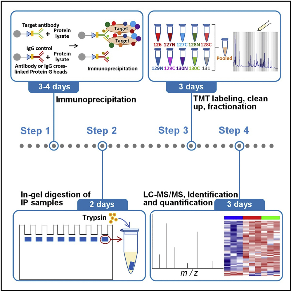 Cell Press: STAR Protocols