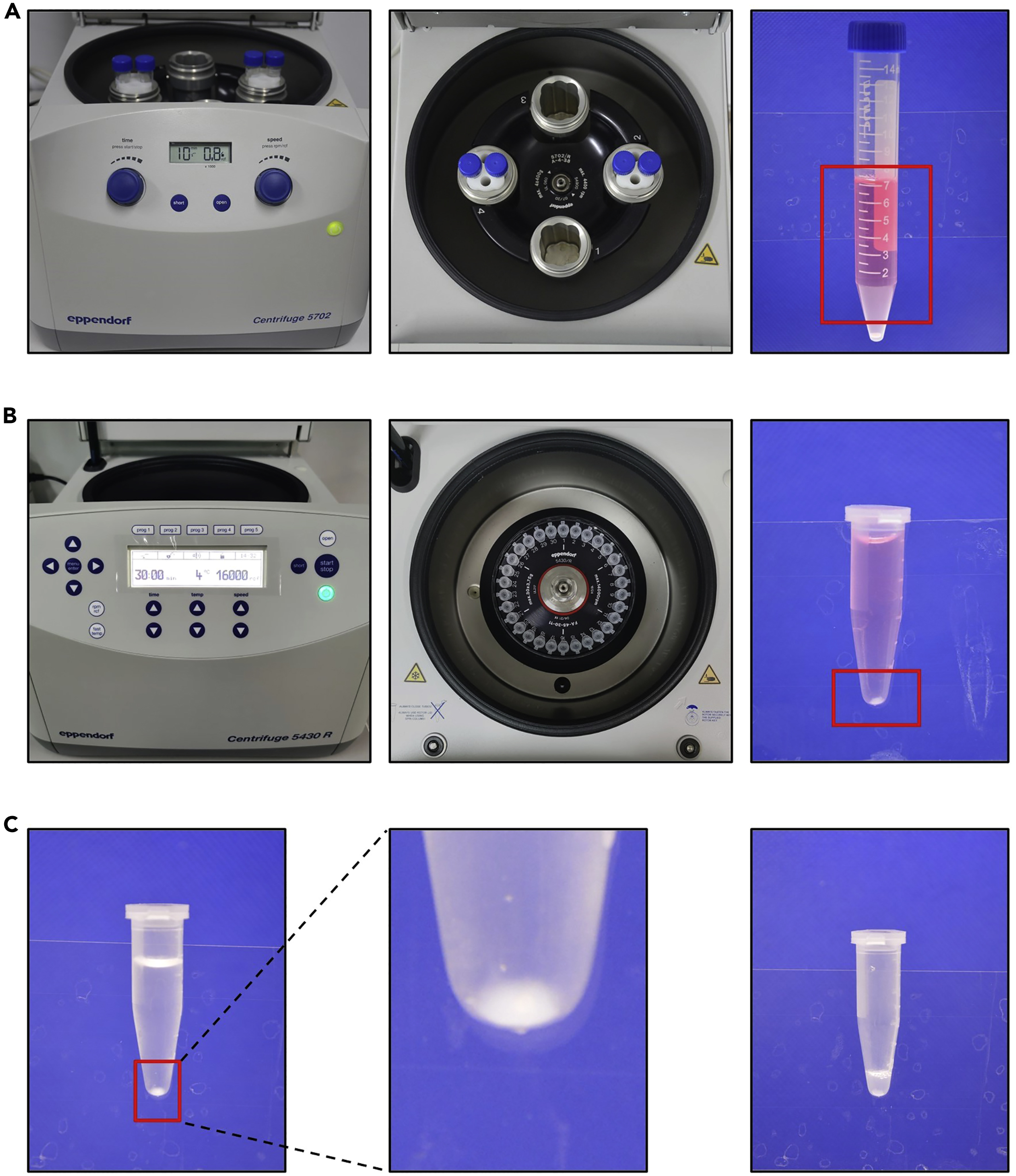 Cell Press: STAR Protocols