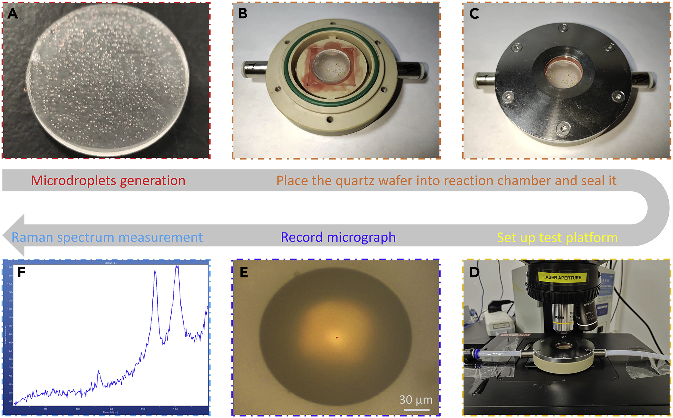 Cell Press: STAR Protocols